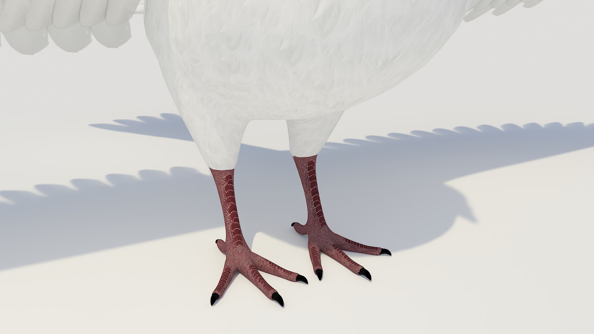 Dove 3D T Posed Printable Ready For Rigging 3D Model - TurboSquid 2066133