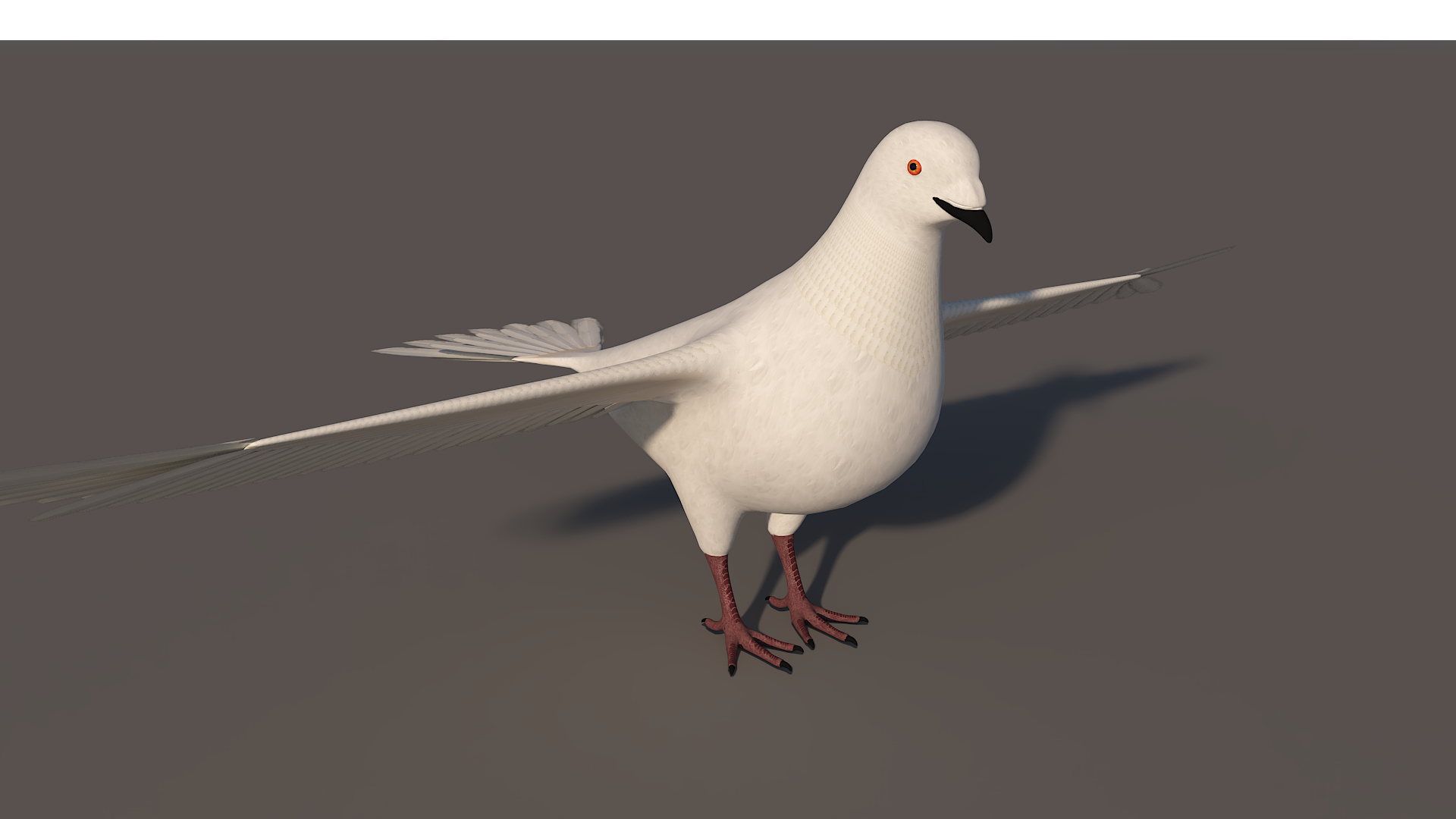 Dove 3D T Posed Printable Ready For Rigging 3D Model - TurboSquid 2066133
