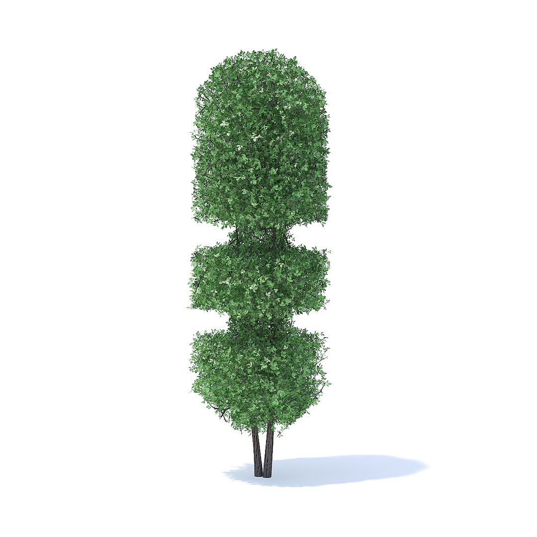 3D Tall Hedge - TurboSquid 1220810