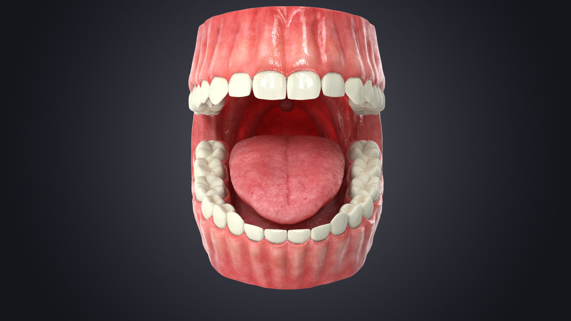 Realistic Human Mouth Rig 3ds MAX 3D Model - TurboSquid 1916012