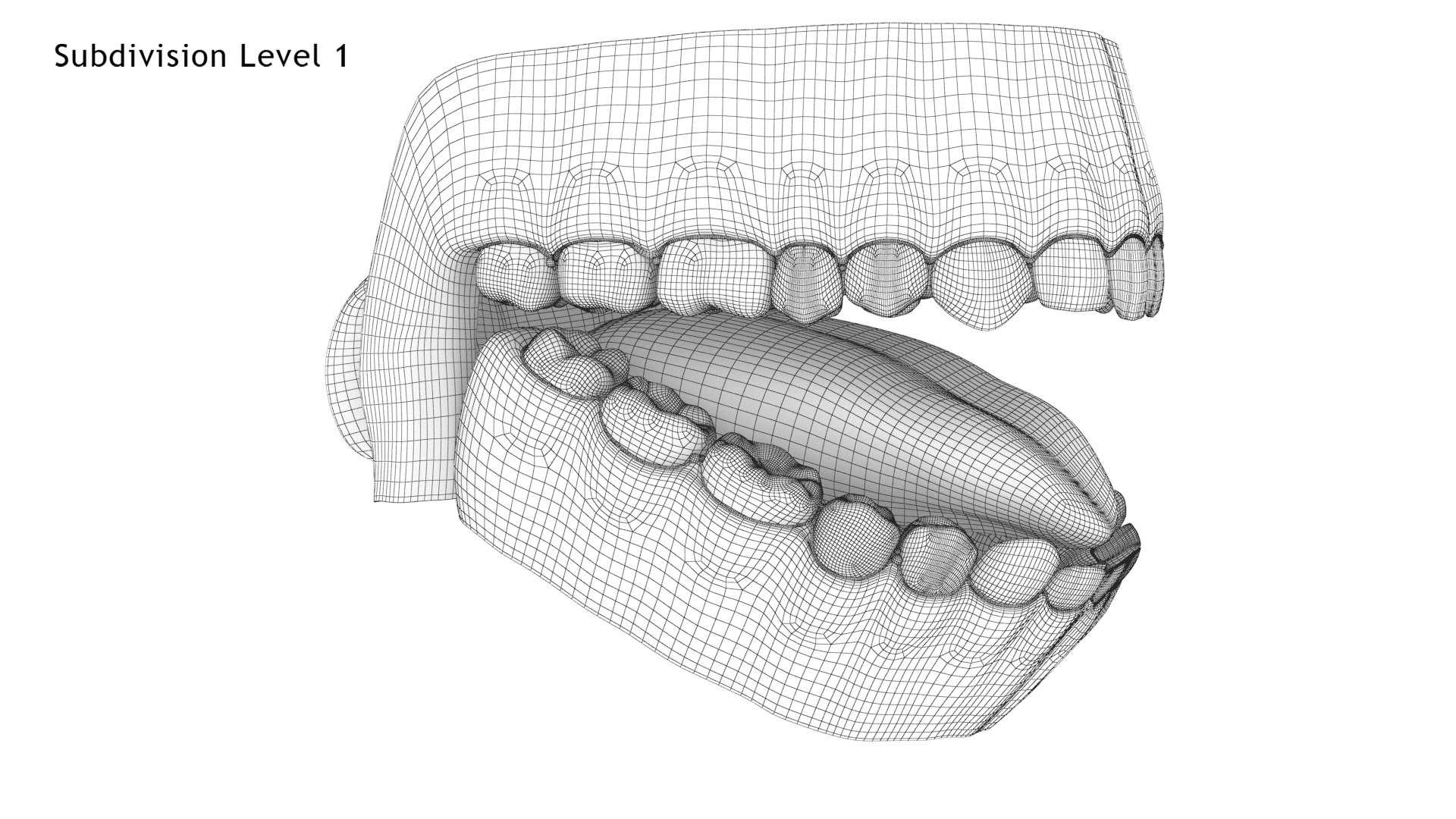 Realistic Human Mouth Rig 3ds MAX 3D model - TurboSquid 1916012