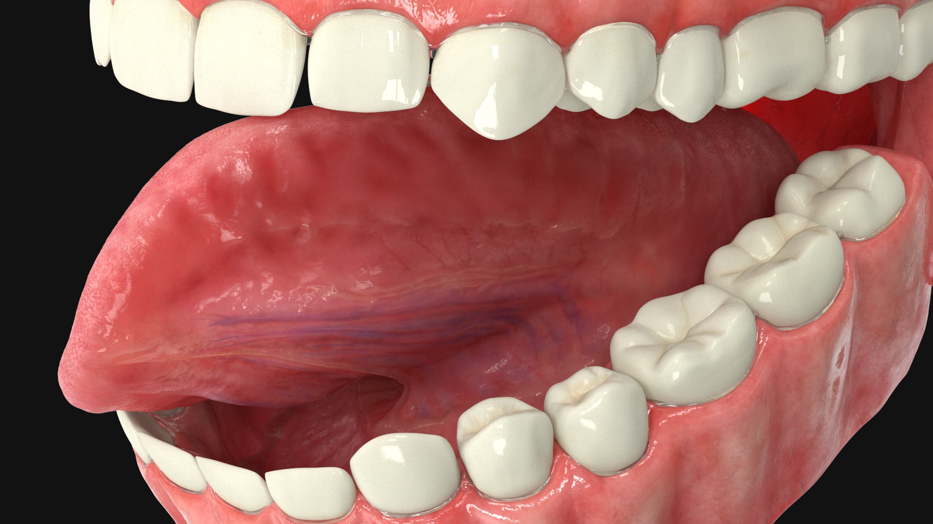 Realistic Human Mouth Rig 3ds MAX 3D model - TurboSquid 1916012