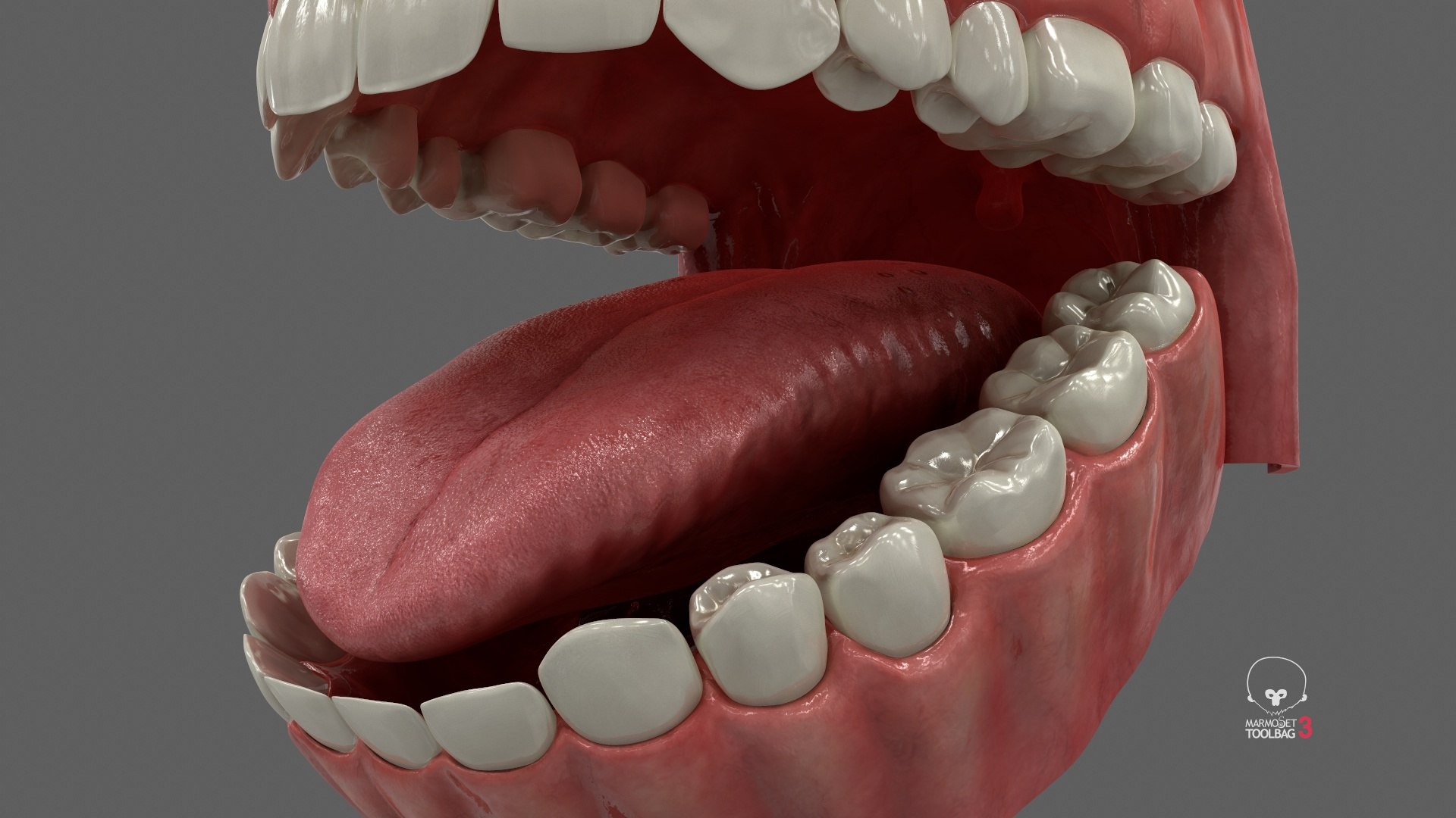 Realistic Human Mouth Rig 3ds MAX 3D model - TurboSquid 1916012