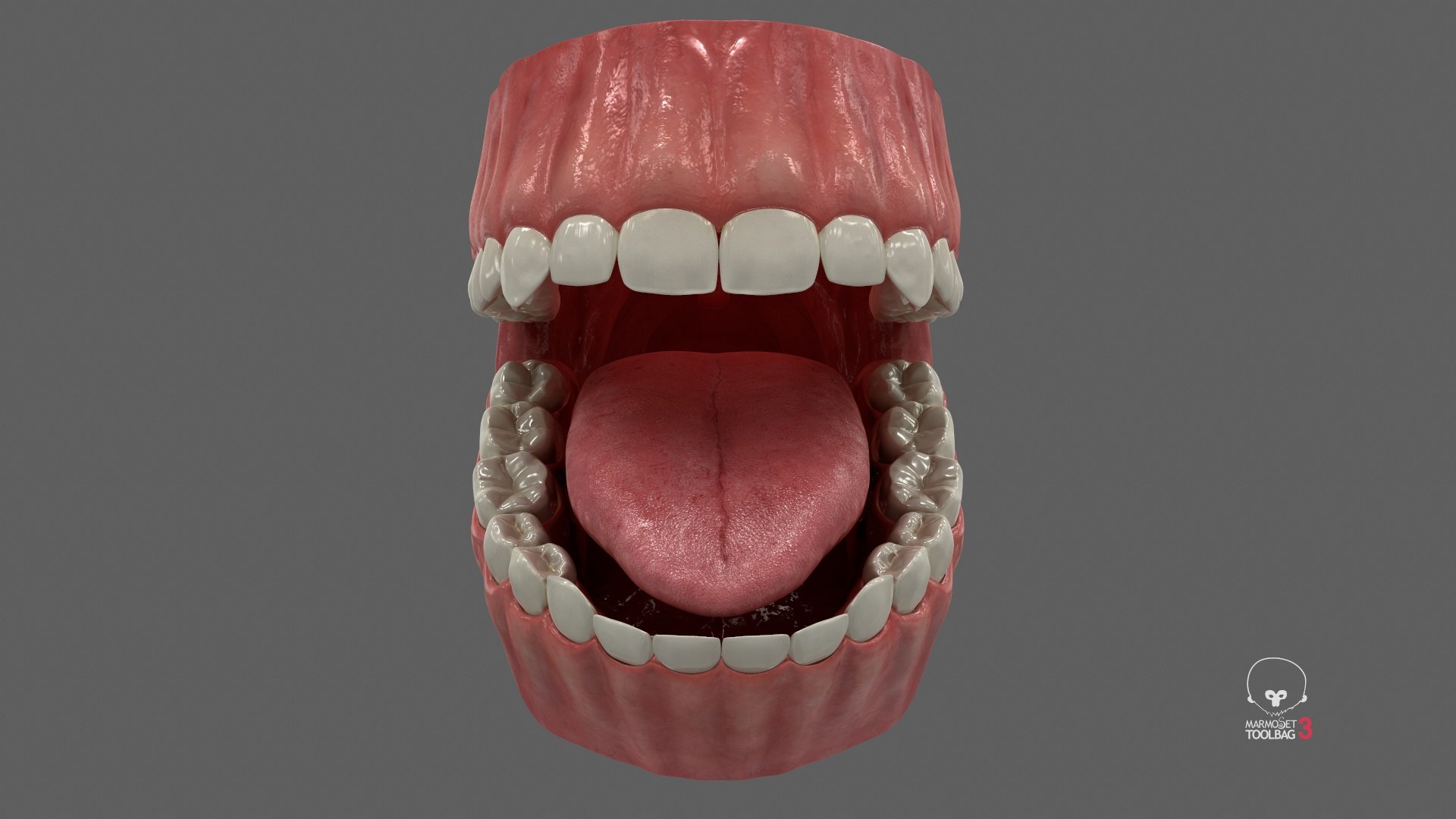 Realistic Human Mouth Rig 3ds MAX 3D model - TurboSquid 1916012