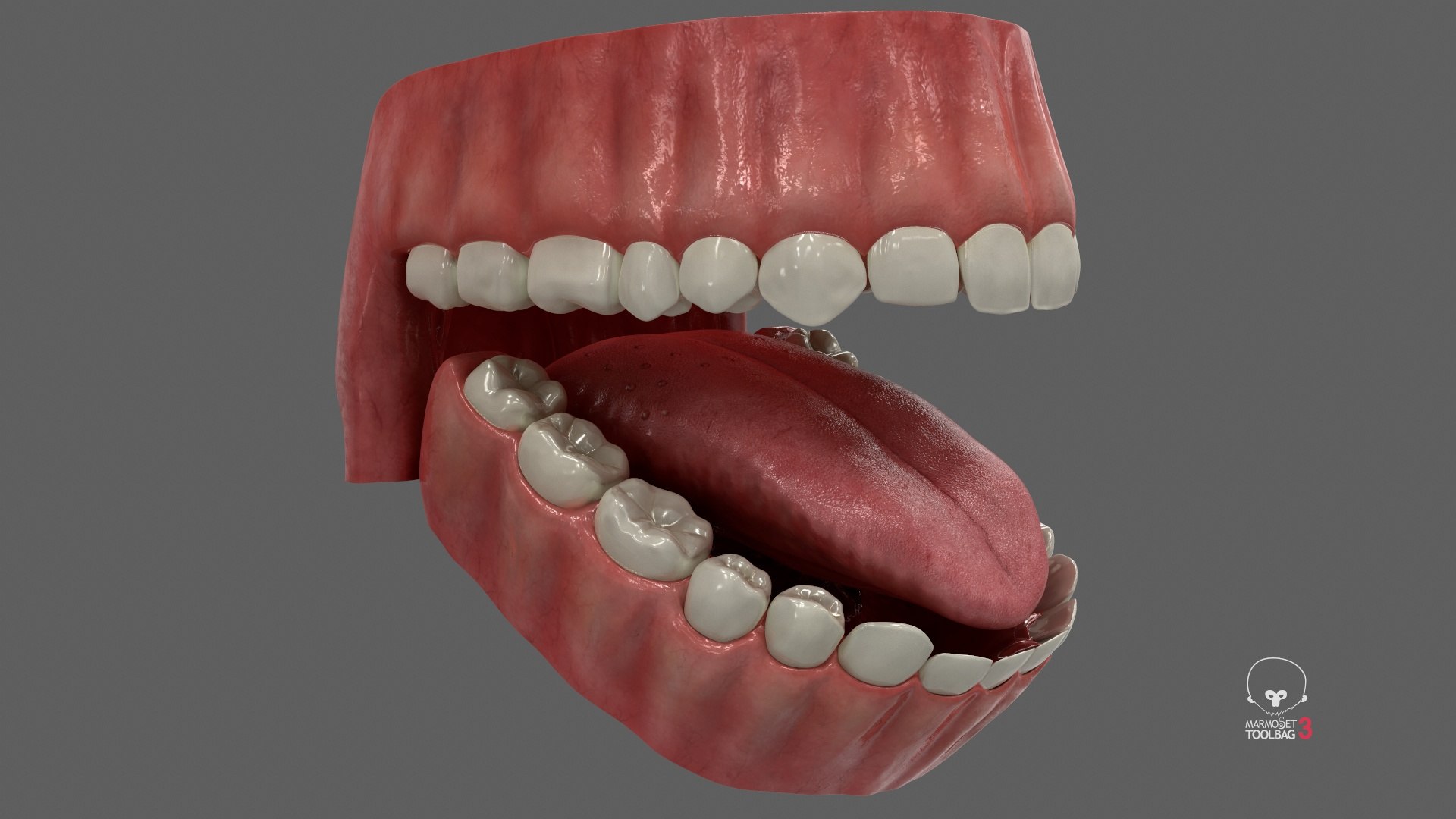 Realistic Human Mouth Rig 3ds MAX 3D model - TurboSquid 1916012