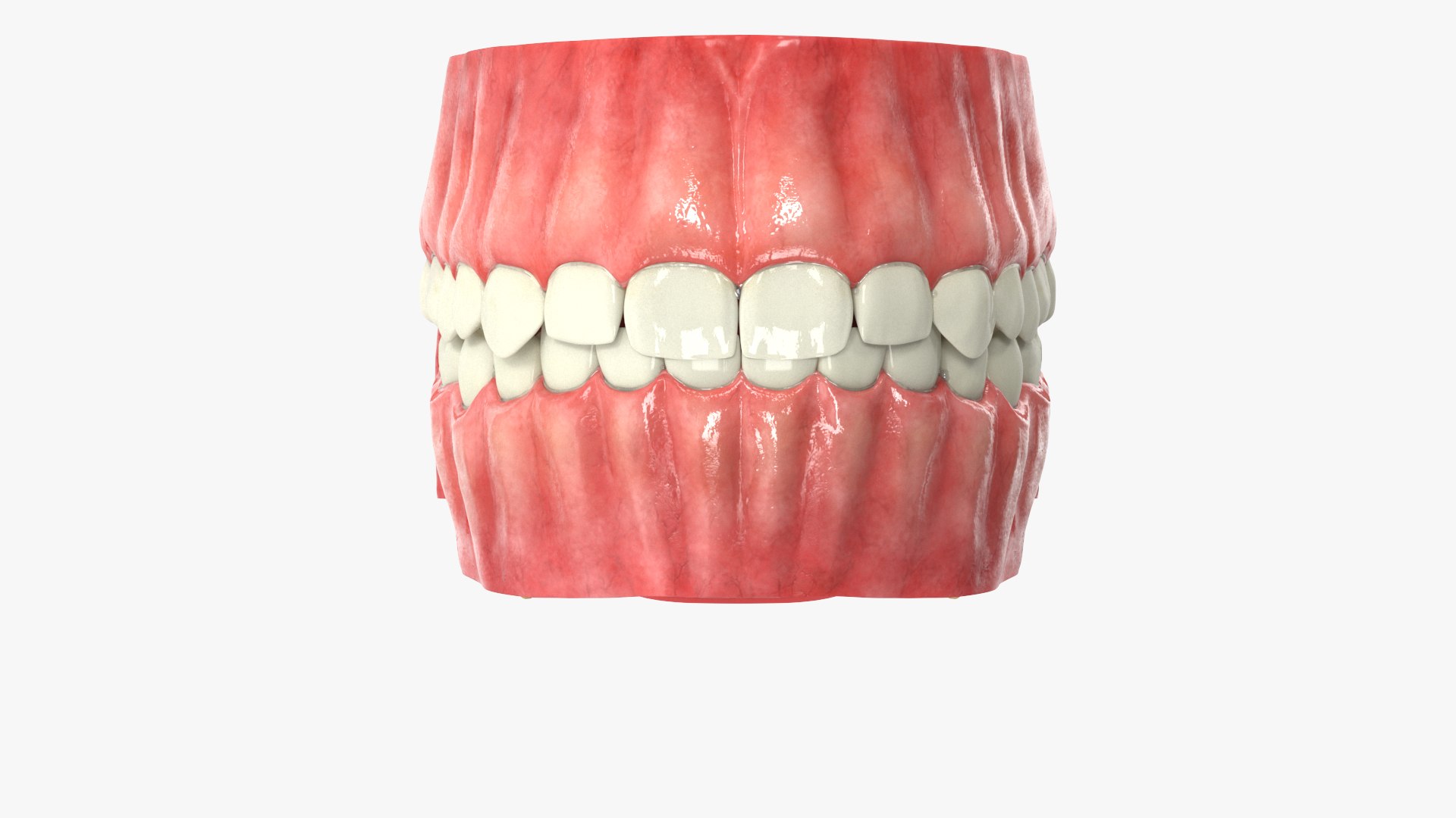 Realistic Human Mouth Rig 3ds MAX 3D model - TurboSquid 1916012