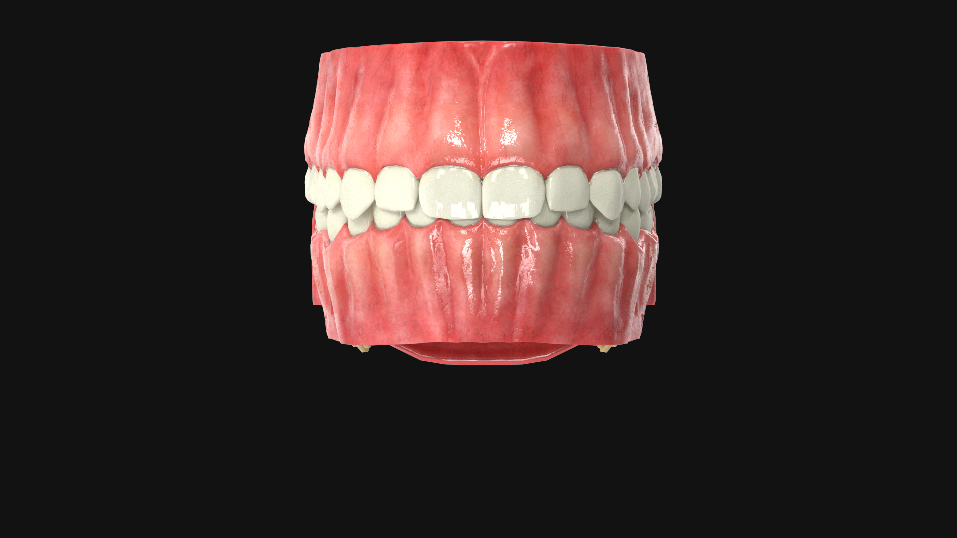 Realistic Human Mouth Rig 3ds MAX 3D Model - TurboSquid 1916012