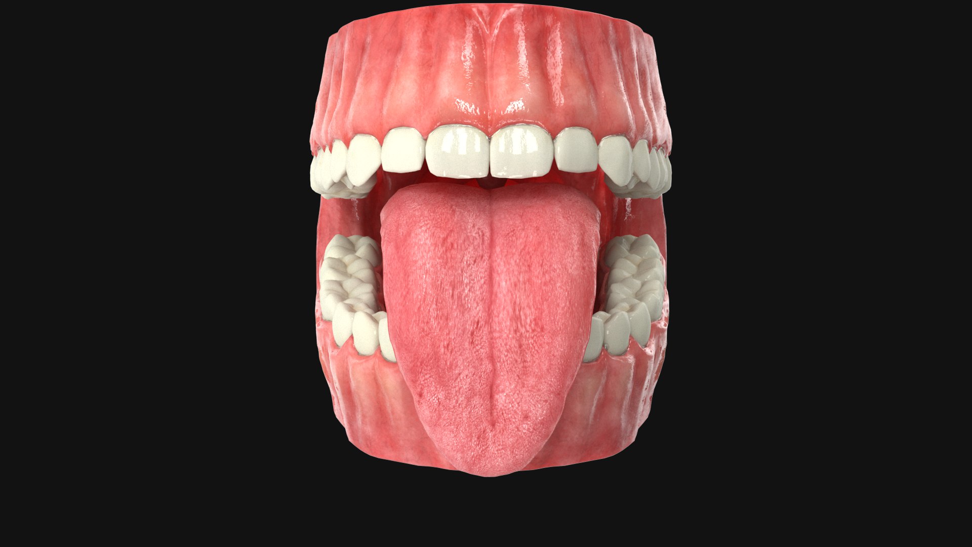 Realistic Human Mouth Rig 3ds MAX 3D model - TurboSquid 1916012