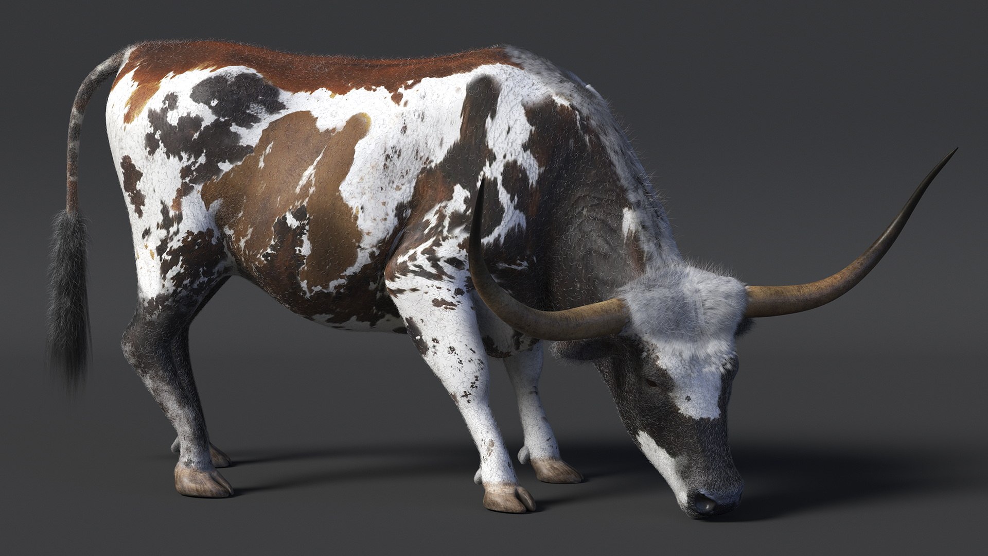 3D Texas Longhorn Cattle Mottled Brown Fur - TurboSquid 2180386