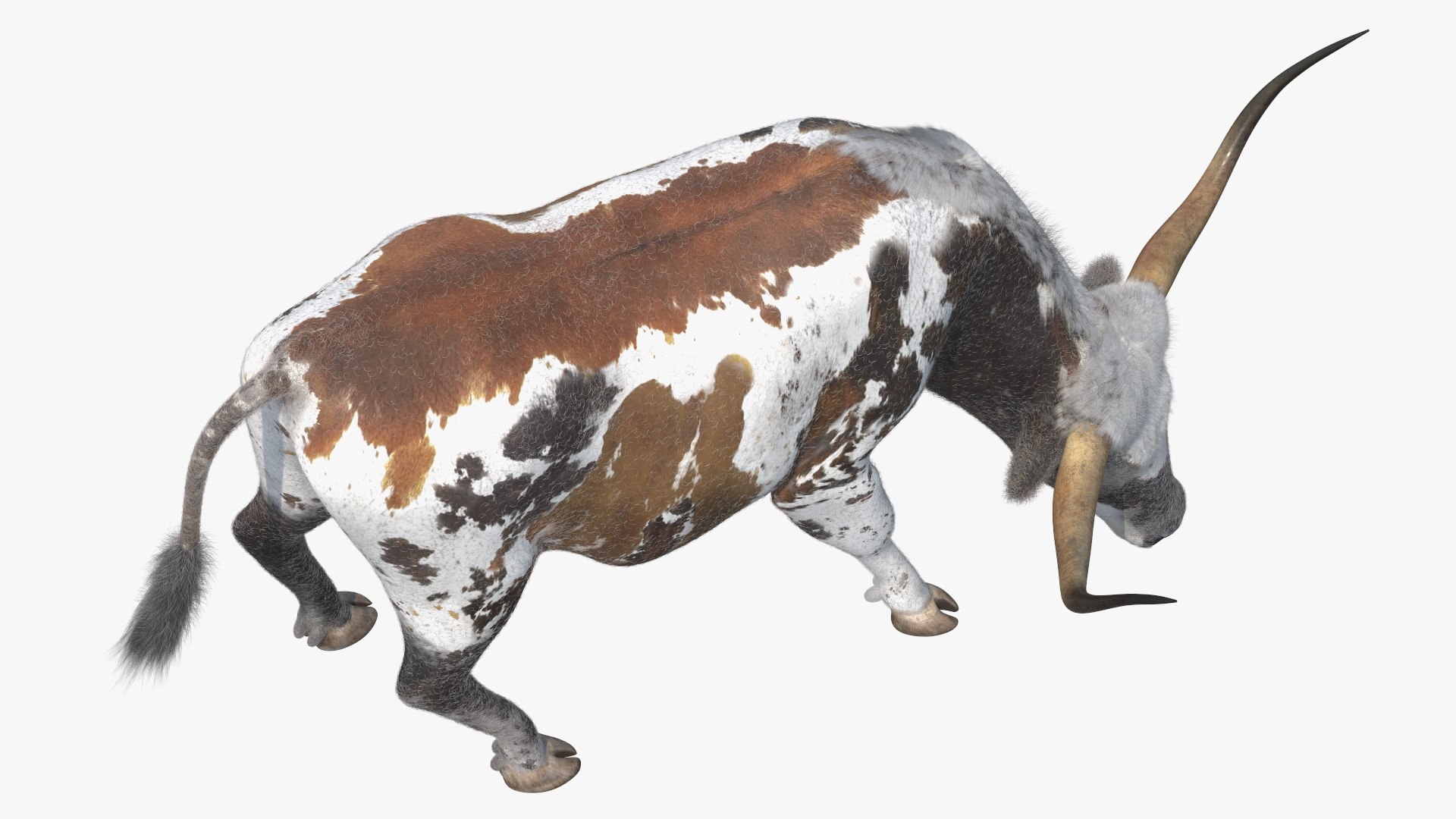 3D Texas Longhorn Cattle Mottled Brown Fur - TurboSquid 2180386