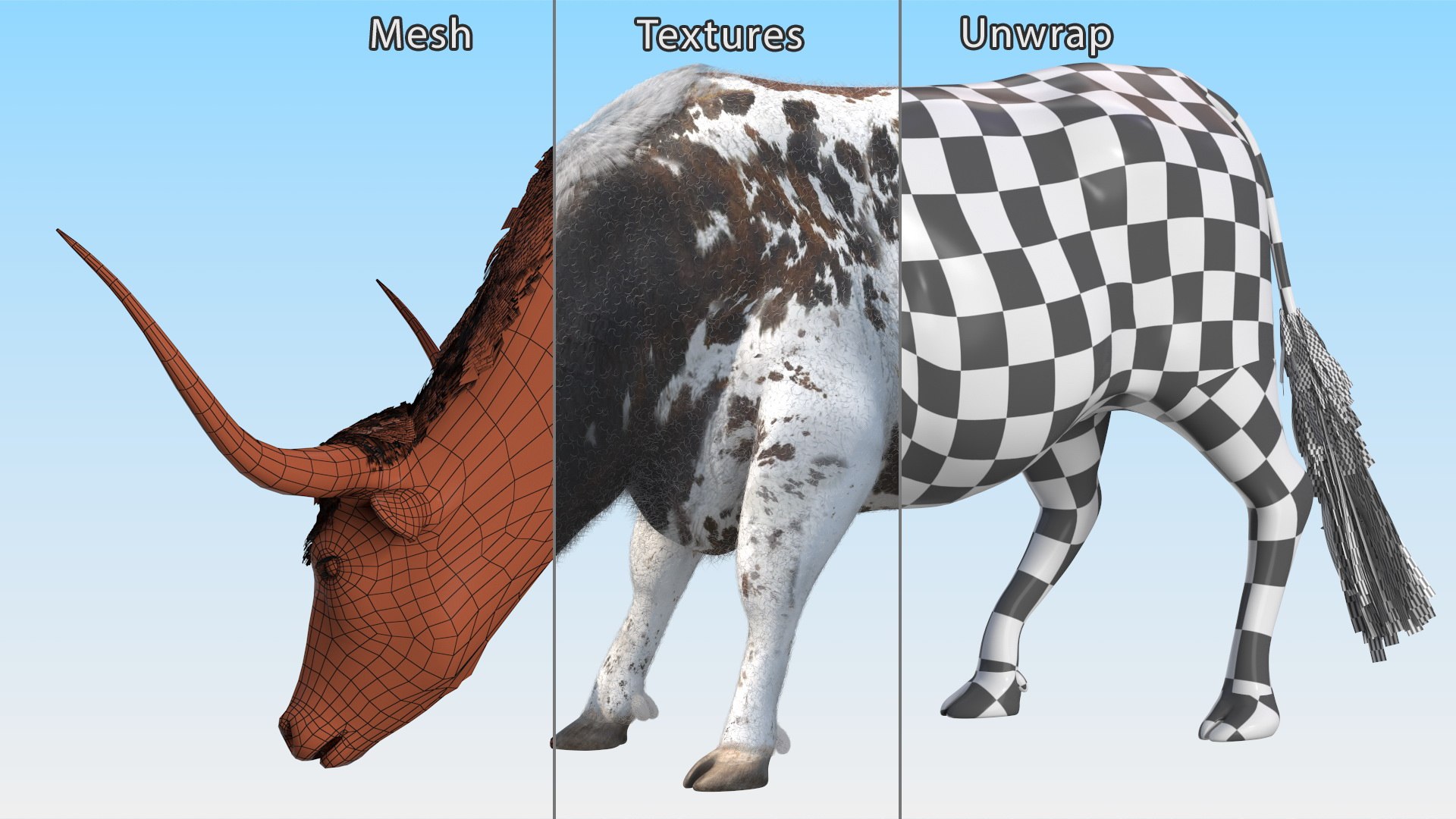 3D Texas Longhorn Cattle Mottled Brown Fur - TurboSquid 2180386