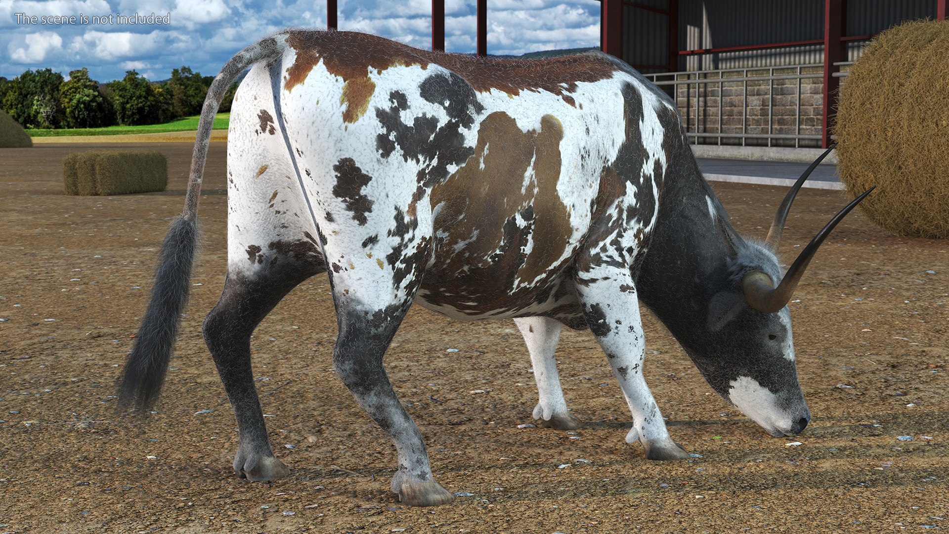 3D Texas Longhorn Cattle Mottled Brown Fur - TurboSquid 2180386