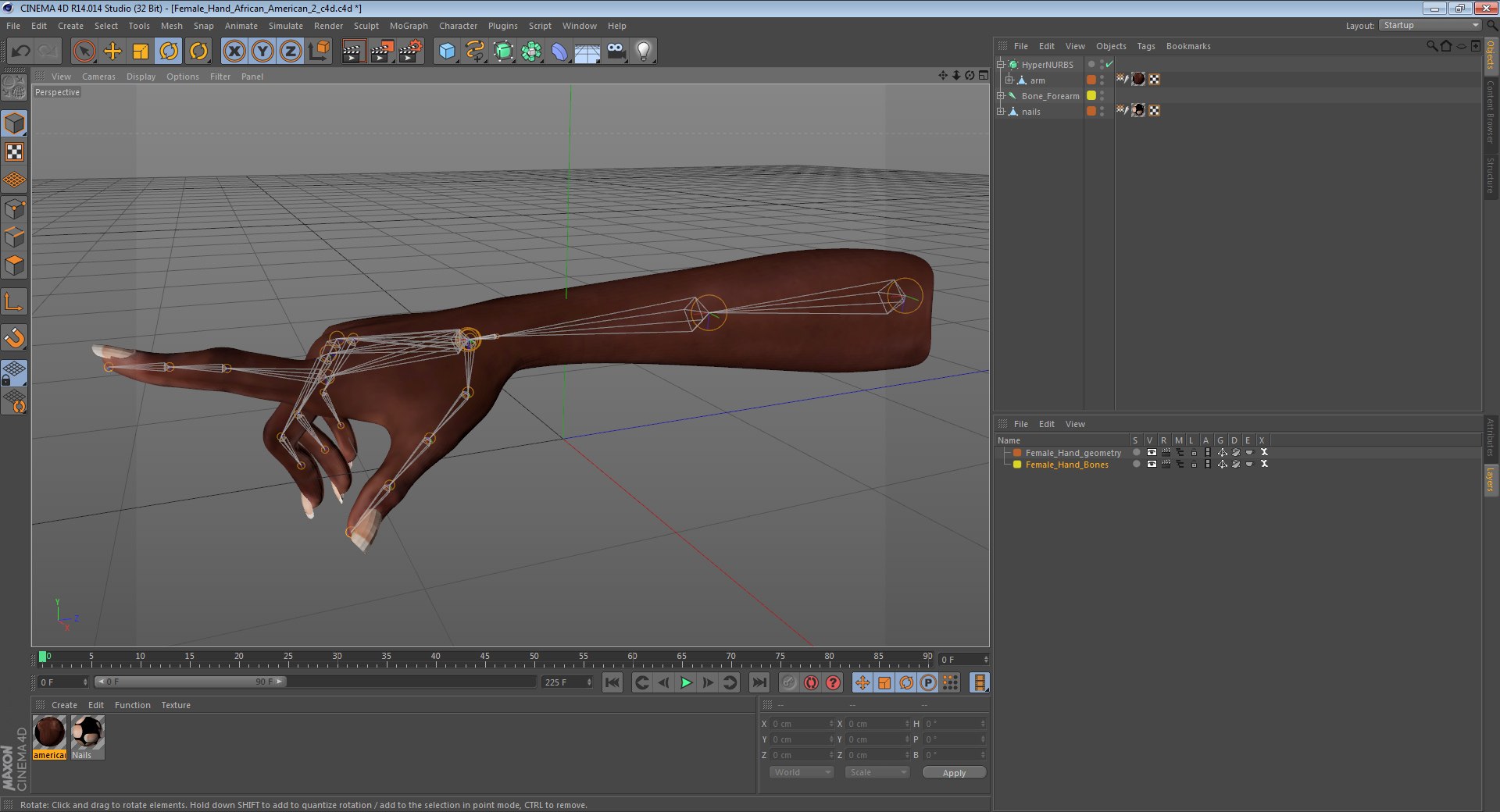 3D female rigged hands model - TurboSquid 1515475