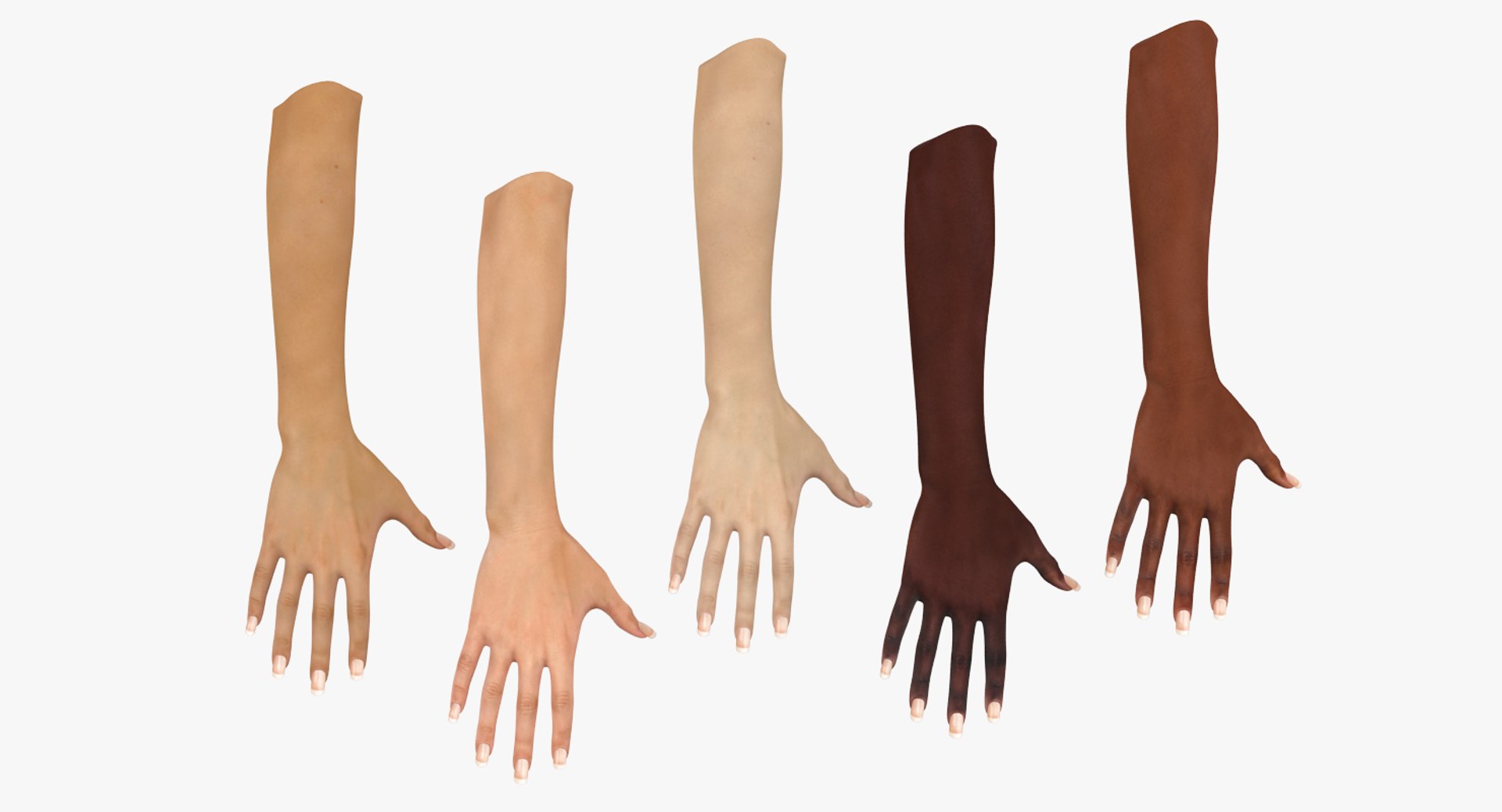 3D female rigged hands model - TurboSquid 1515475