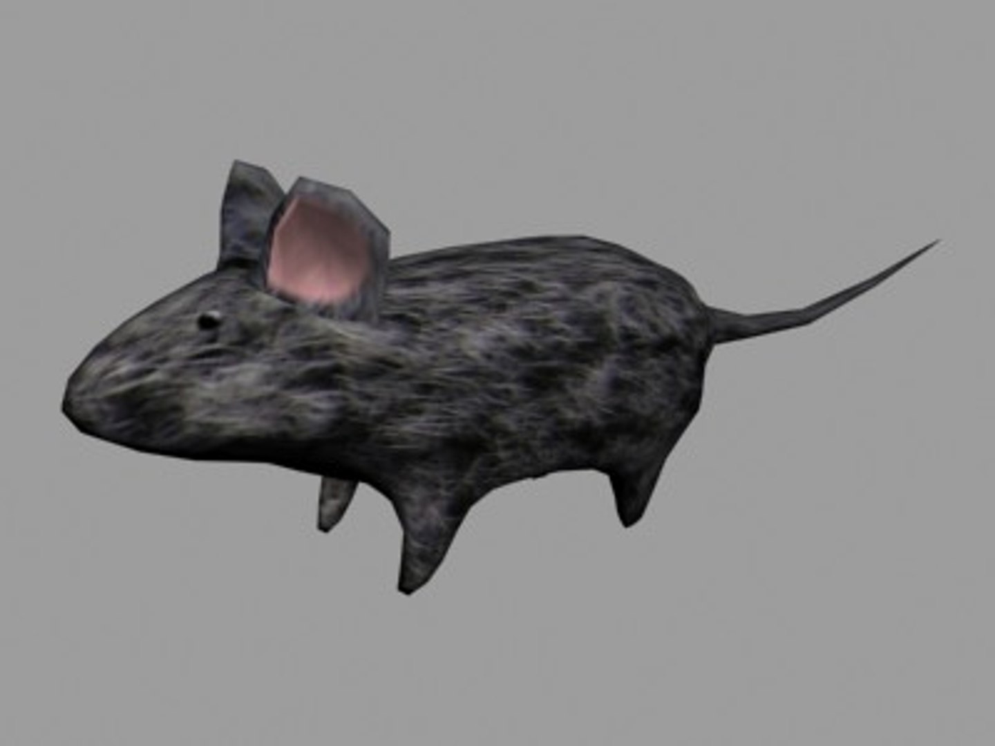 3d mouse animation bones model