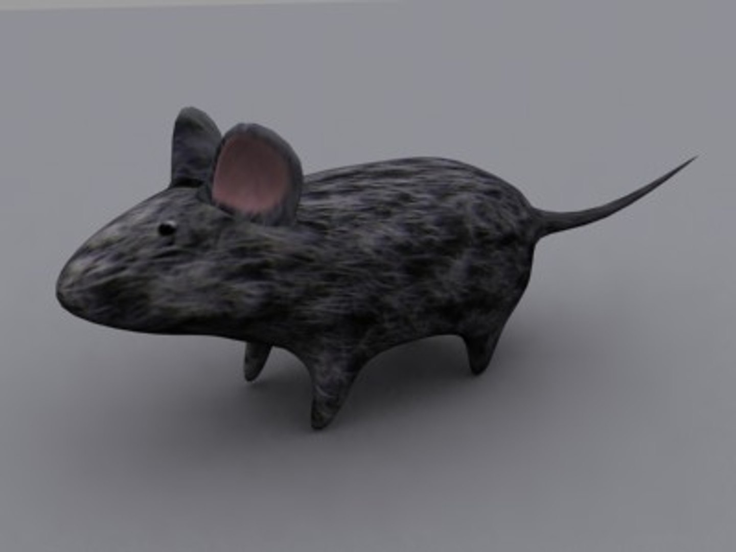 3d mouse animation bones model