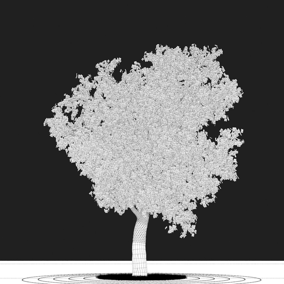 Platanus Tree Bark Max