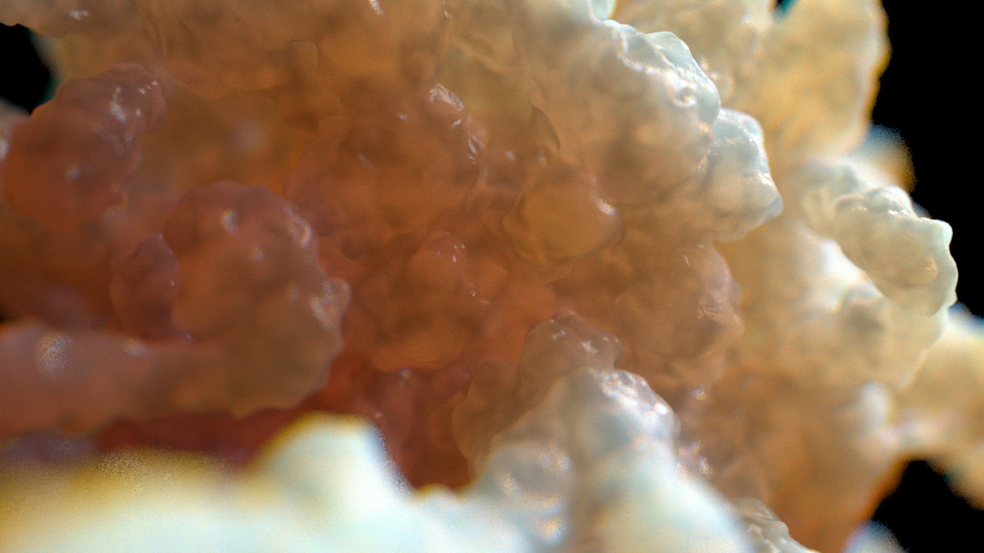 3d Leukocyte White Blood Cell Model