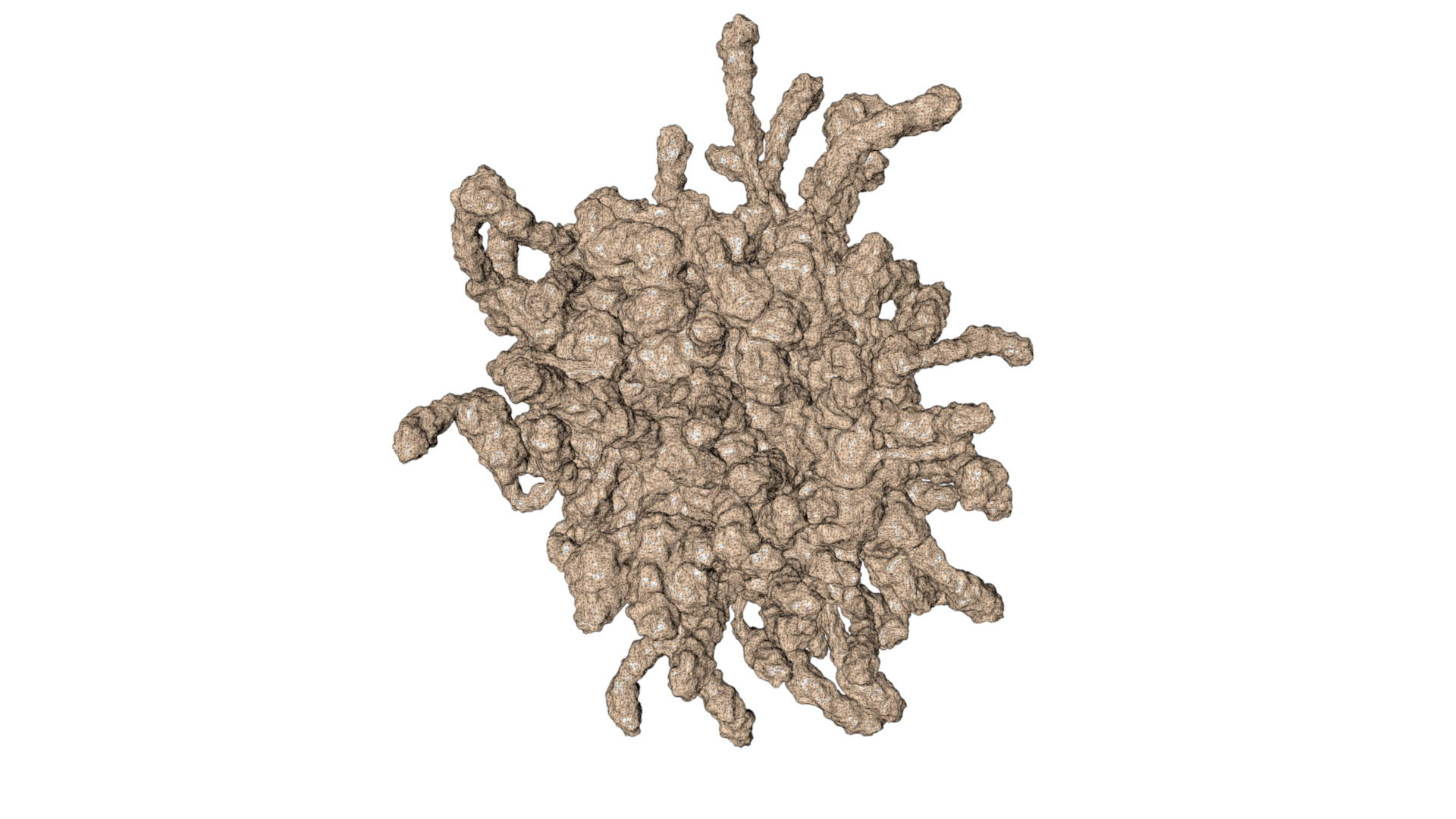 3d Leukocyte White Blood Cell Model