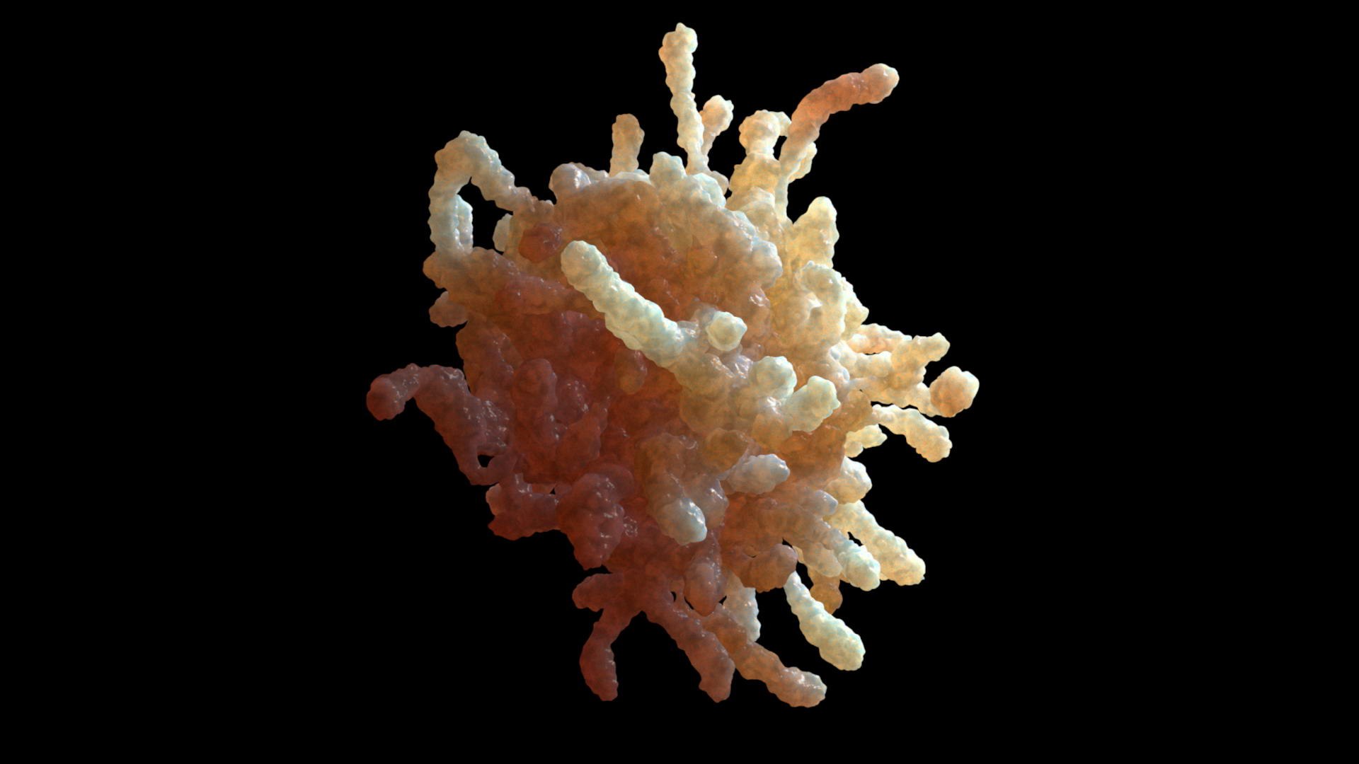 3d Leukocyte White Blood Cell Model