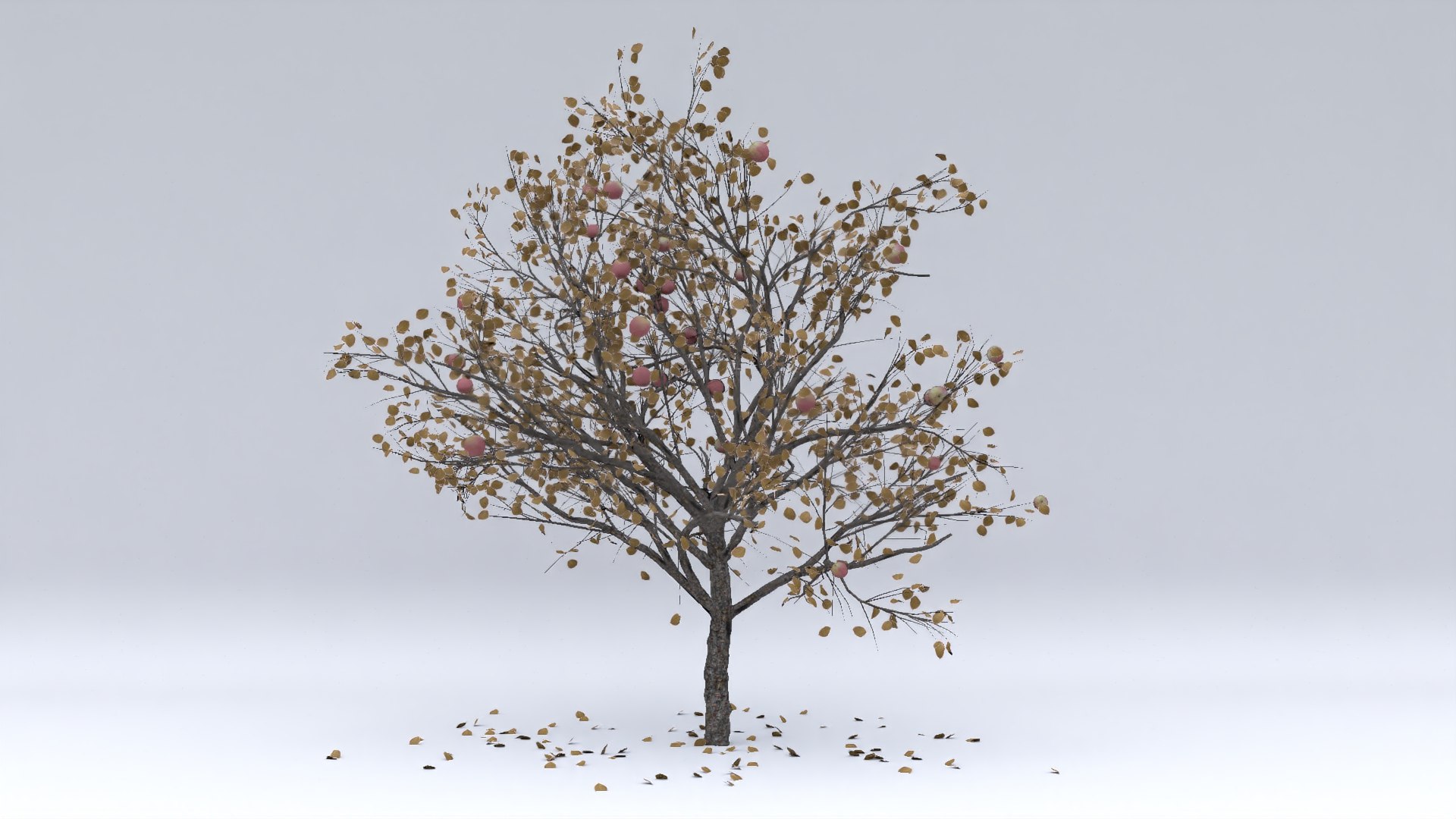 Malus autumn hight 3D model - TurboSquid 1620583