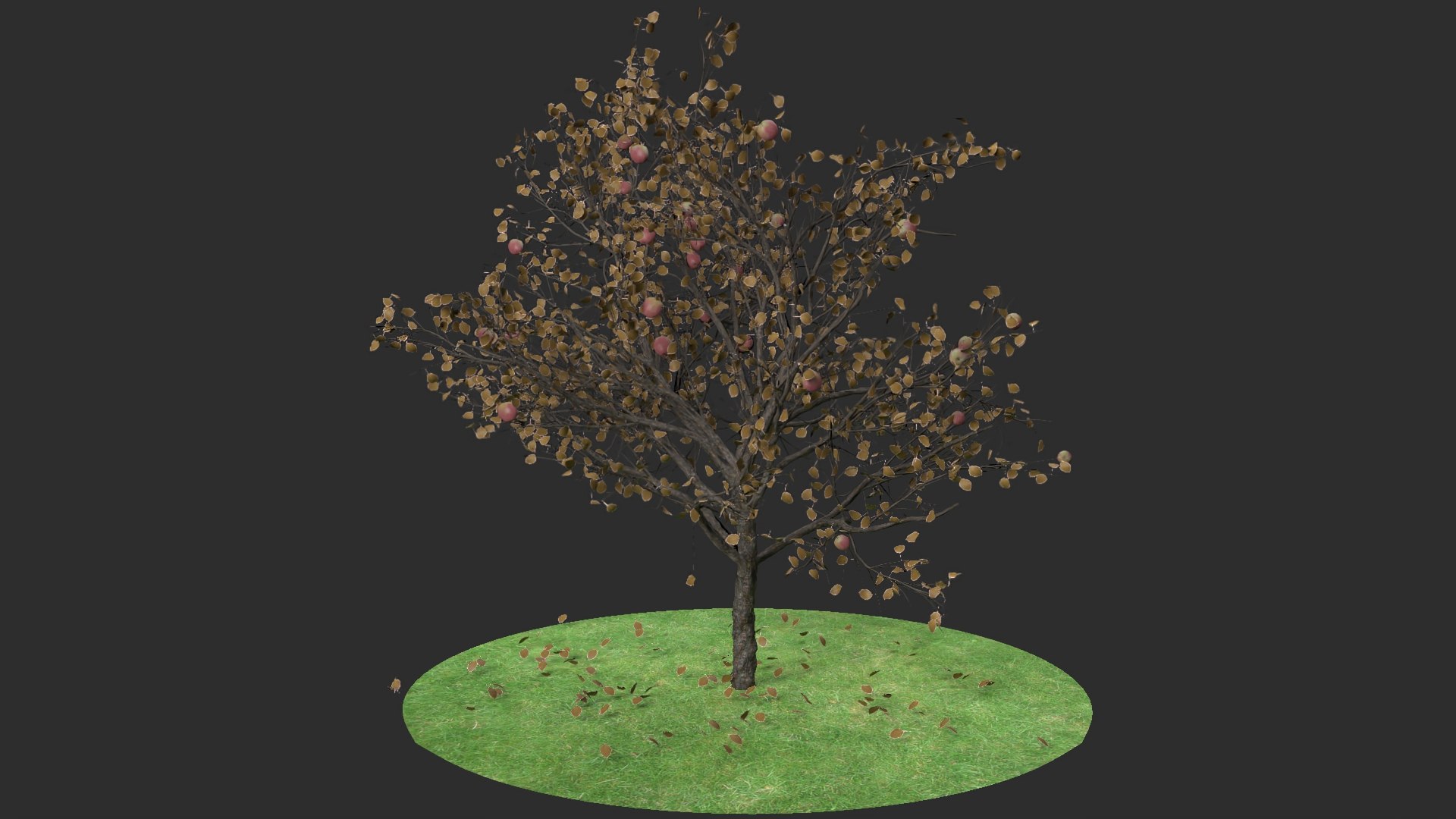Malus autumn hight 3D model - TurboSquid 1620583