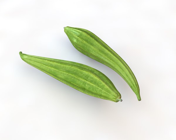 Okra 3D Models for Download | TurboSquid