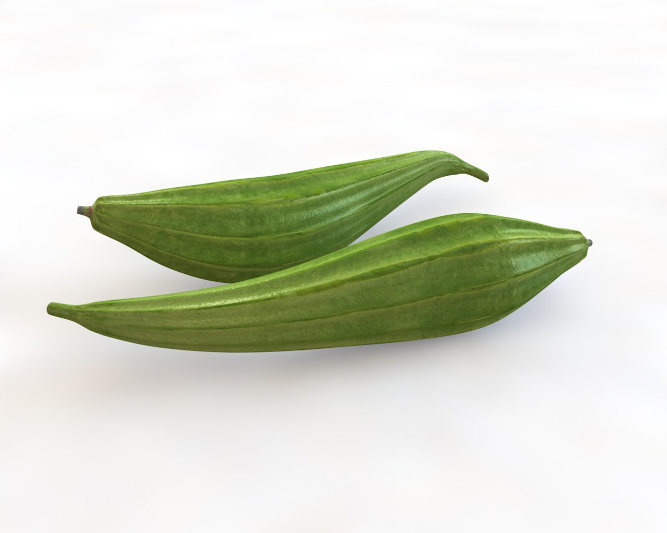 Gourd 3D - TurboSquid 1544602