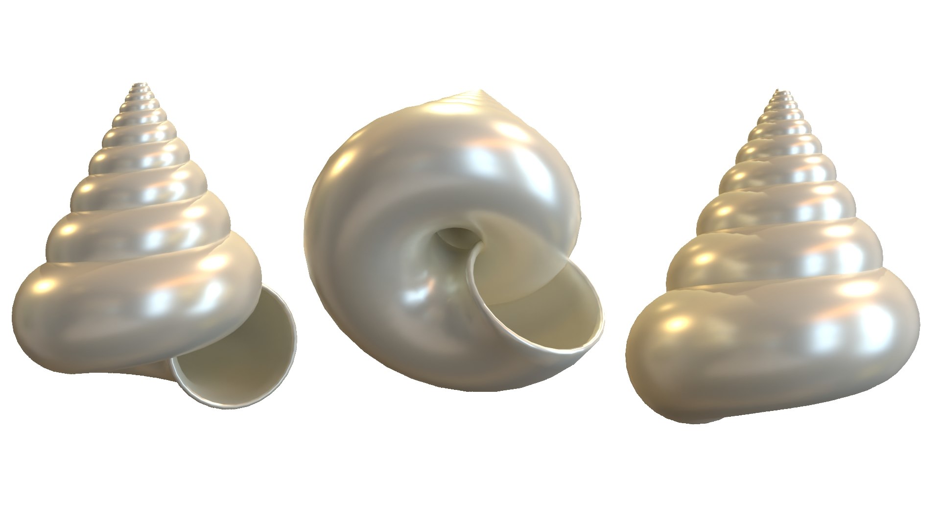 Beautiful Spiral Shell With Pearl Color And Perfect Shape 3D Model ...