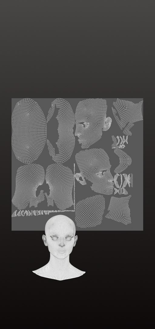 Beautiful Female Human Head 3D Model - TurboSquid 2339608