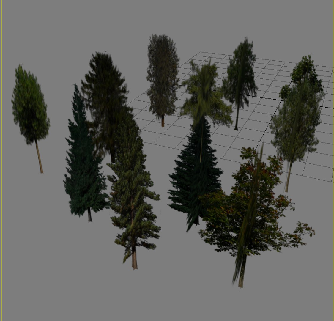 3d Tree Branch Model
