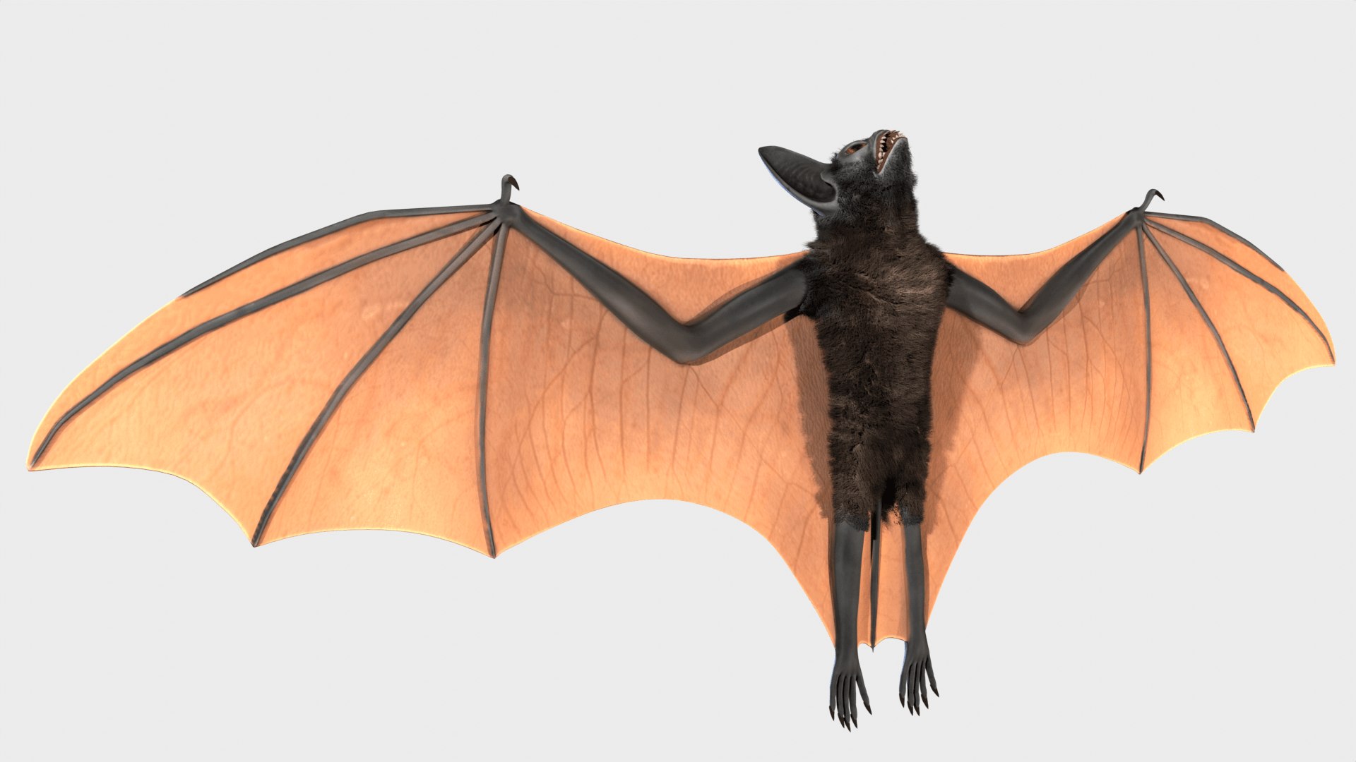 3D Model Bat - TurboSquid 2253479