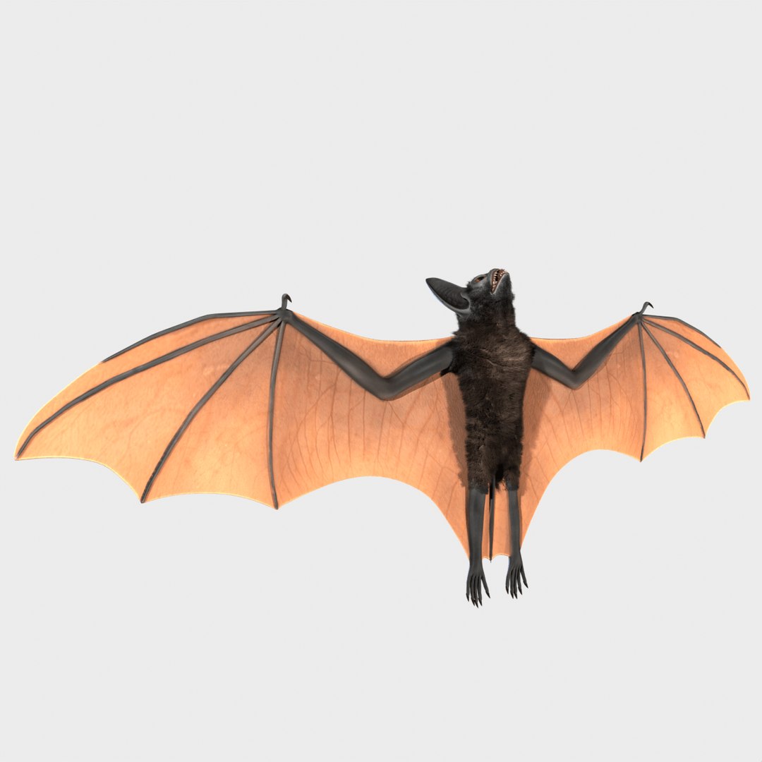 3D Model Bat - TurboSquid 2253479