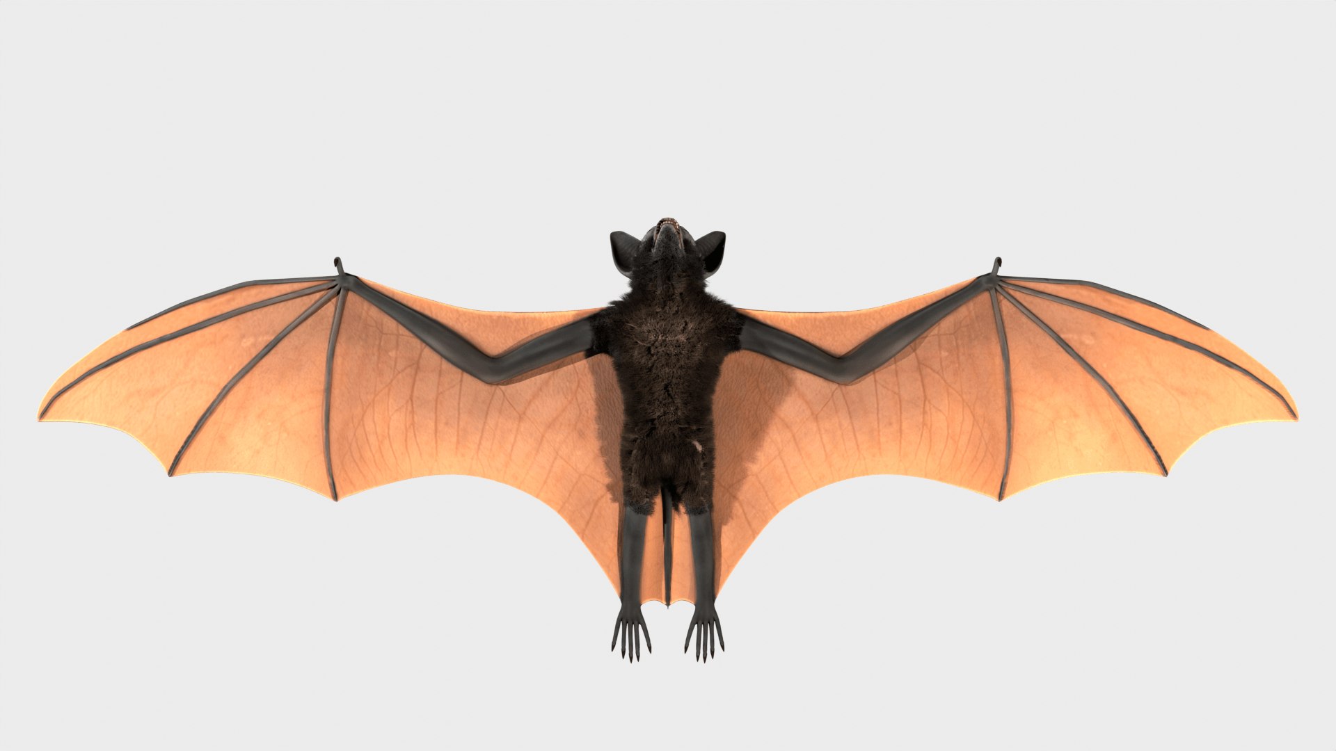 3D Model Bat - TurboSquid 2253479