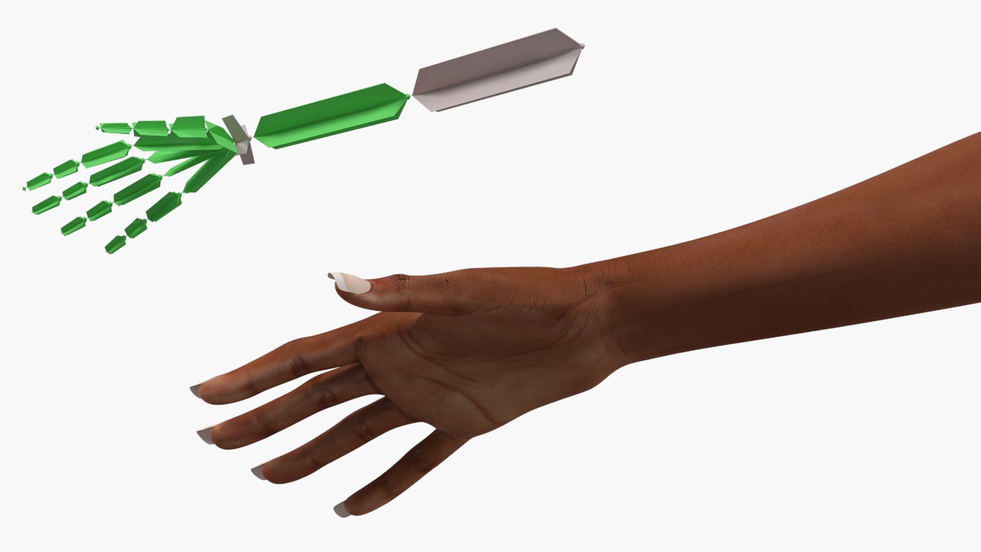 Female Realistic Hand Rigged 3D - TurboSquid 2363222