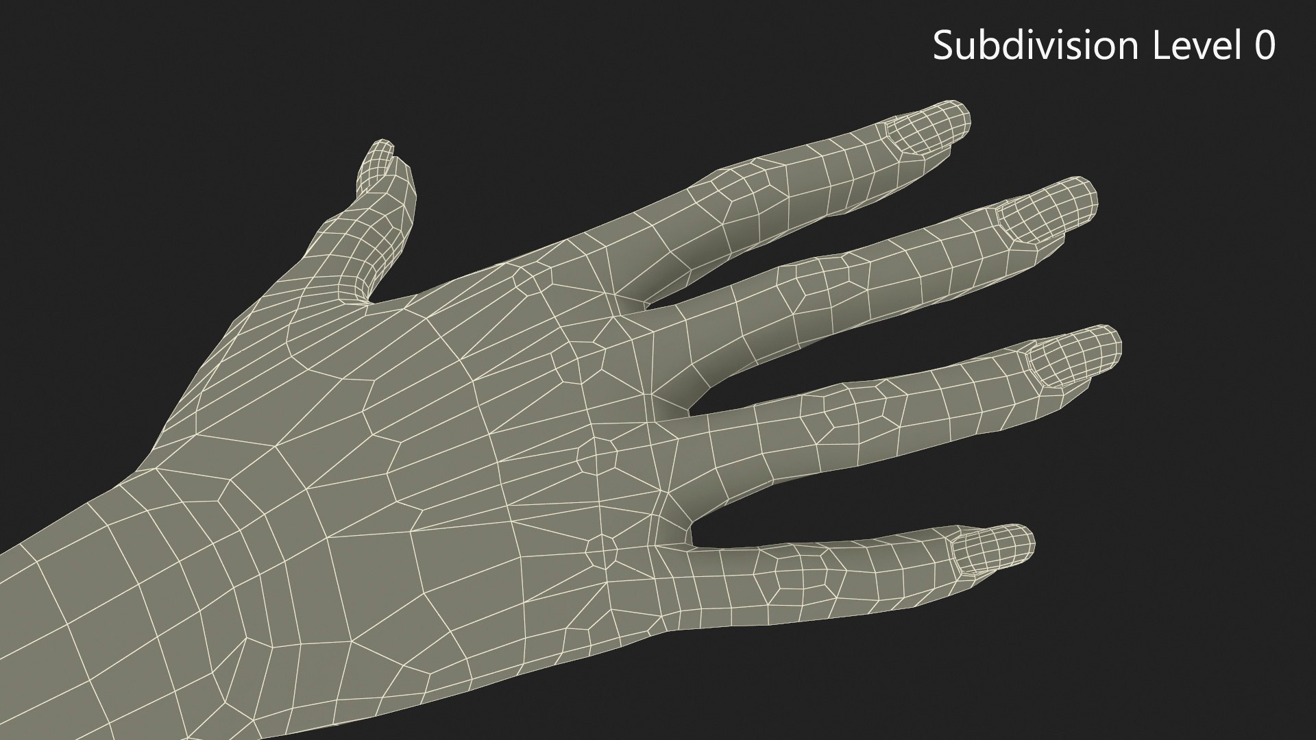 Female Realistic Hand Rigged 3D - TurboSquid 2363222