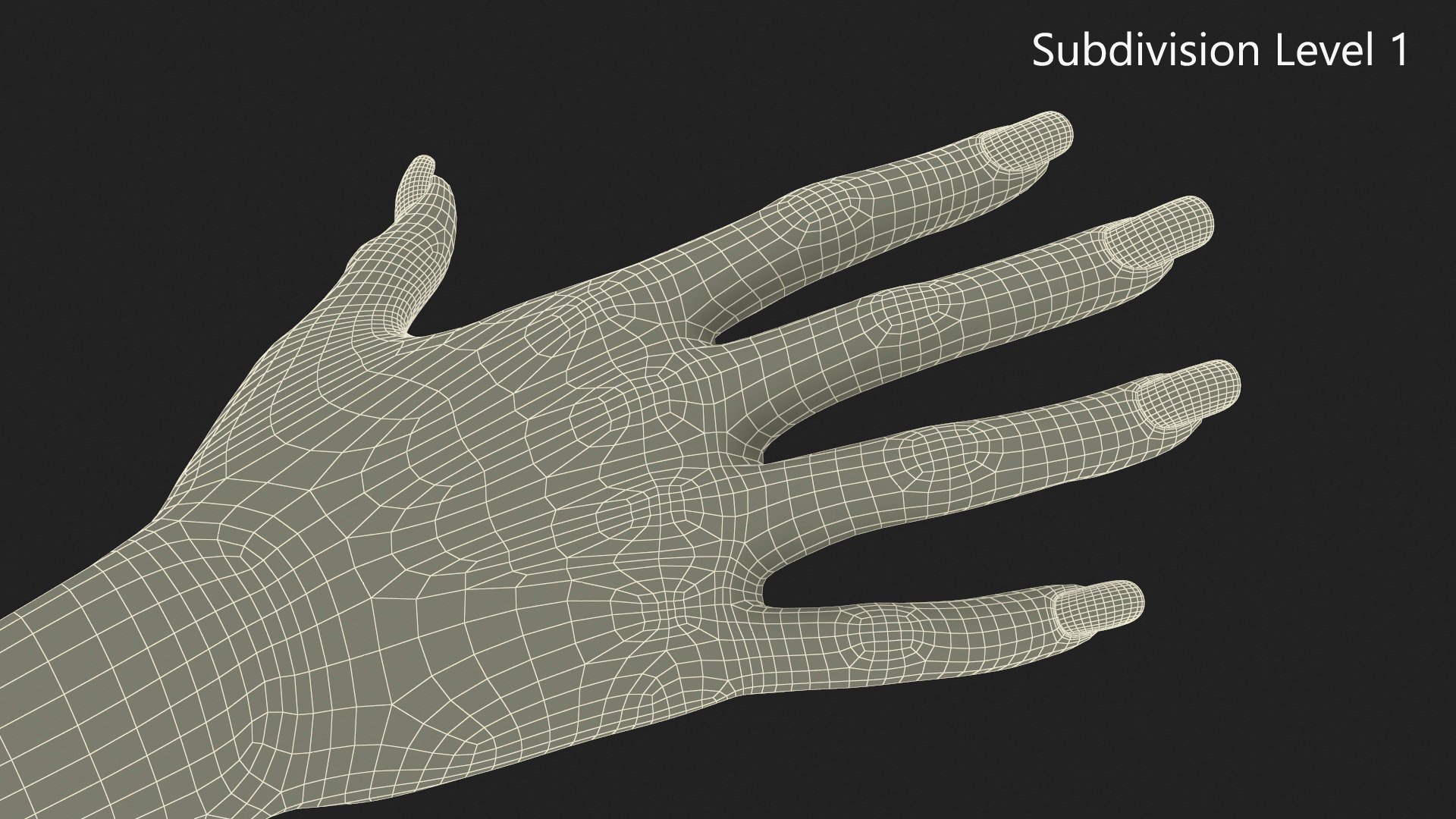 Female Realistic Hand Rigged 3D - TurboSquid 2363222
