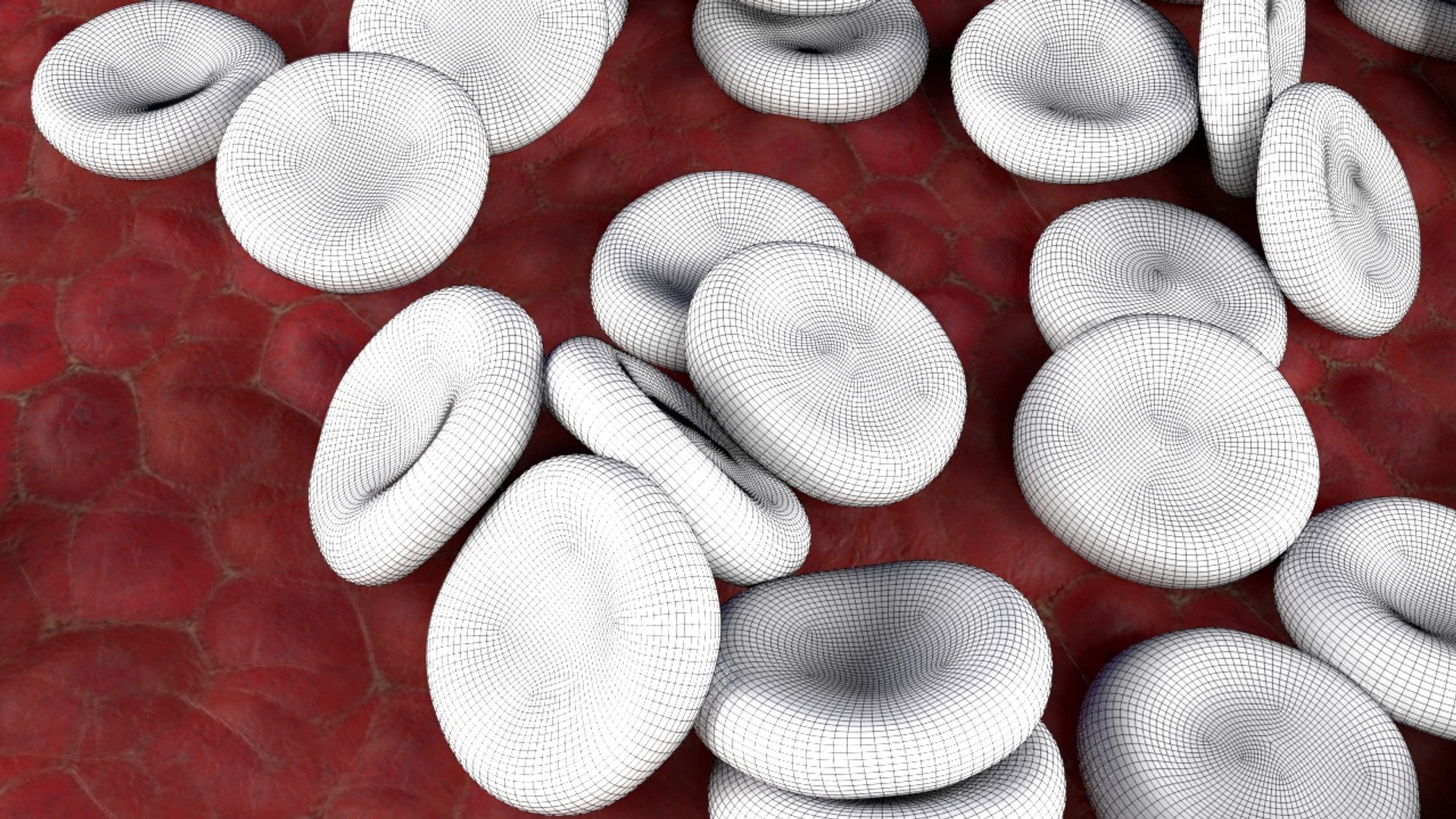 Red Blood Cells 3D Model - TurboSquid 1393000
