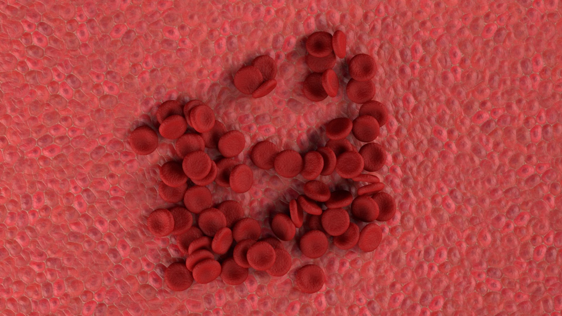 Red Blood Cells 3D Model - TurboSquid 1393000