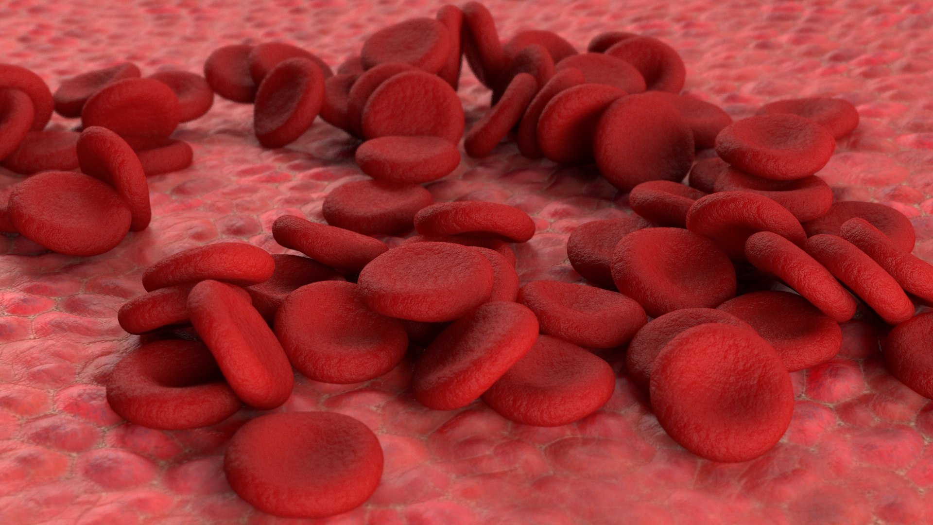 Red Blood Cells 3D Model - TurboSquid 1393000