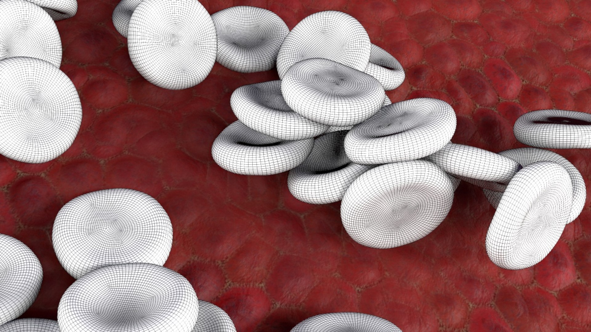 Red Blood Cells 3D Model - TurboSquid 1393000