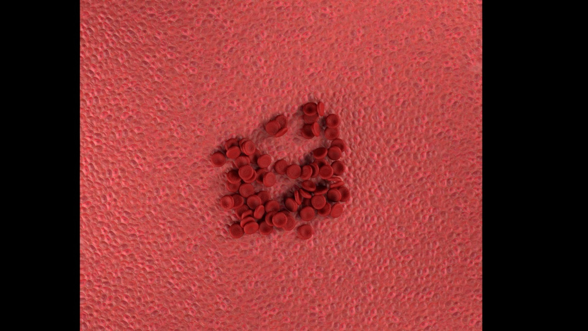 Red Blood Cells 3D Model - TurboSquid 1393000