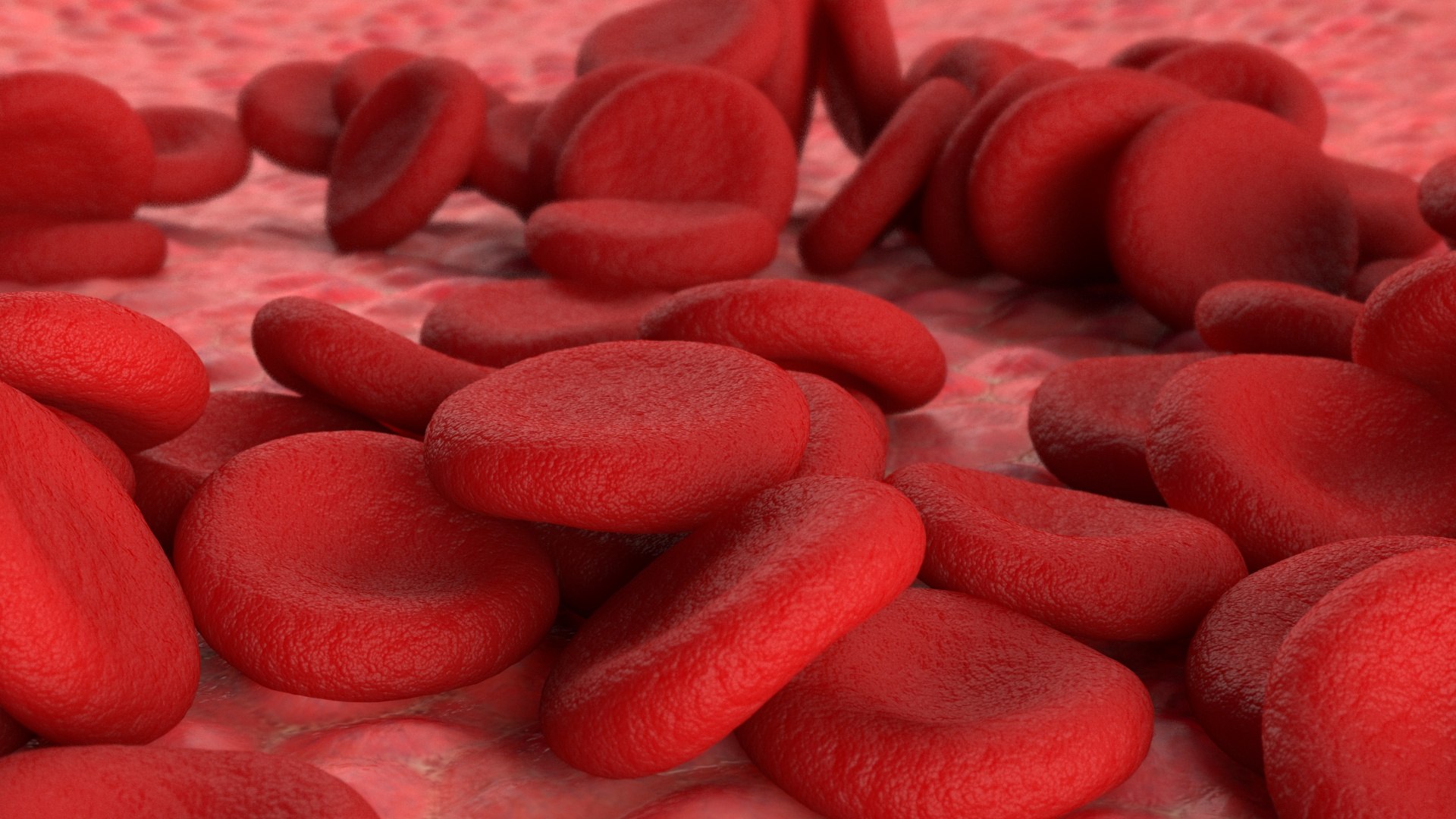 Red Blood Cells 3D Model - TurboSquid 1393000