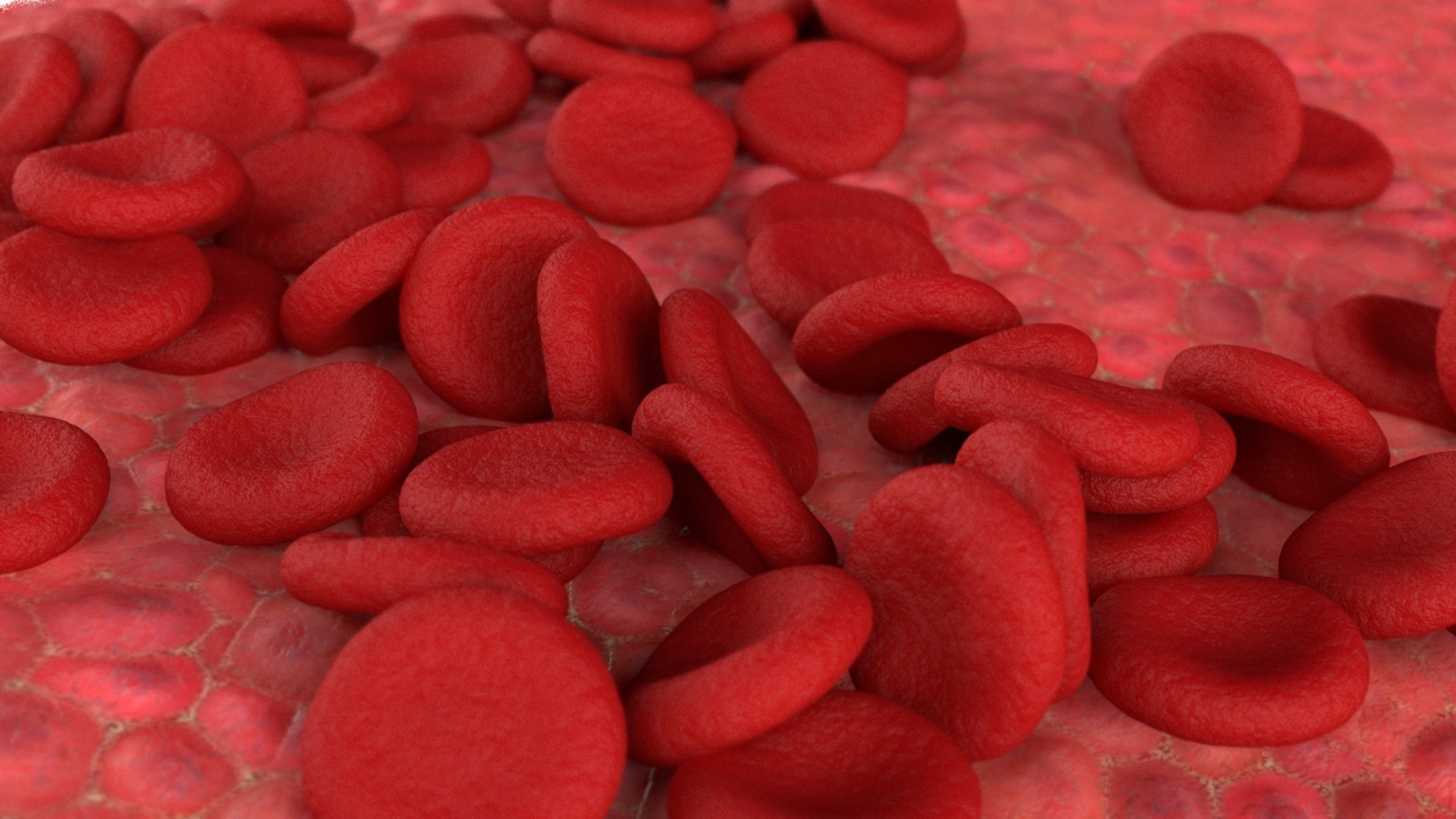 Red Blood Cells 3D Model - TurboSquid 1393000