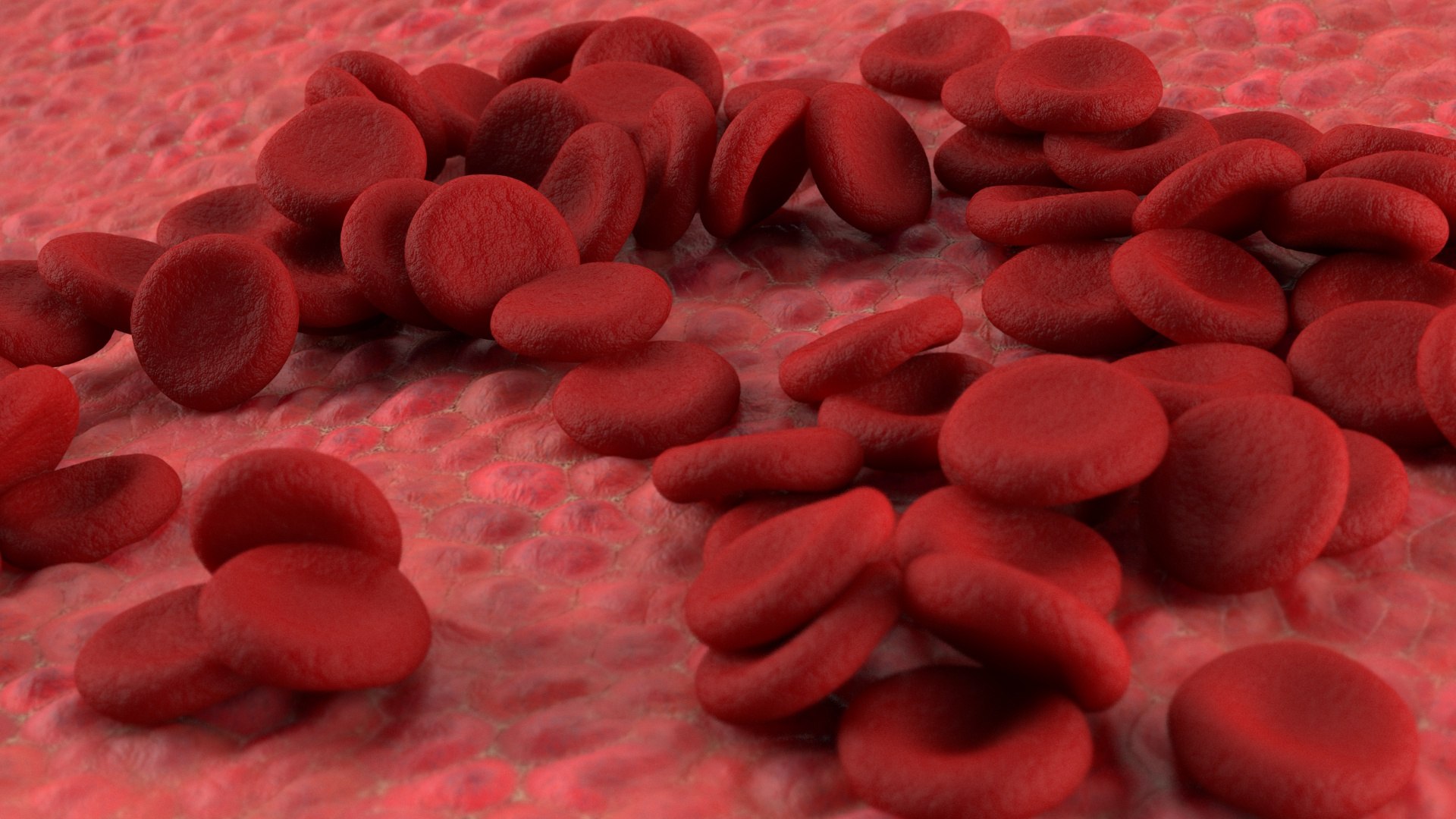 Red Blood Cells 3D Model - TurboSquid 1393000