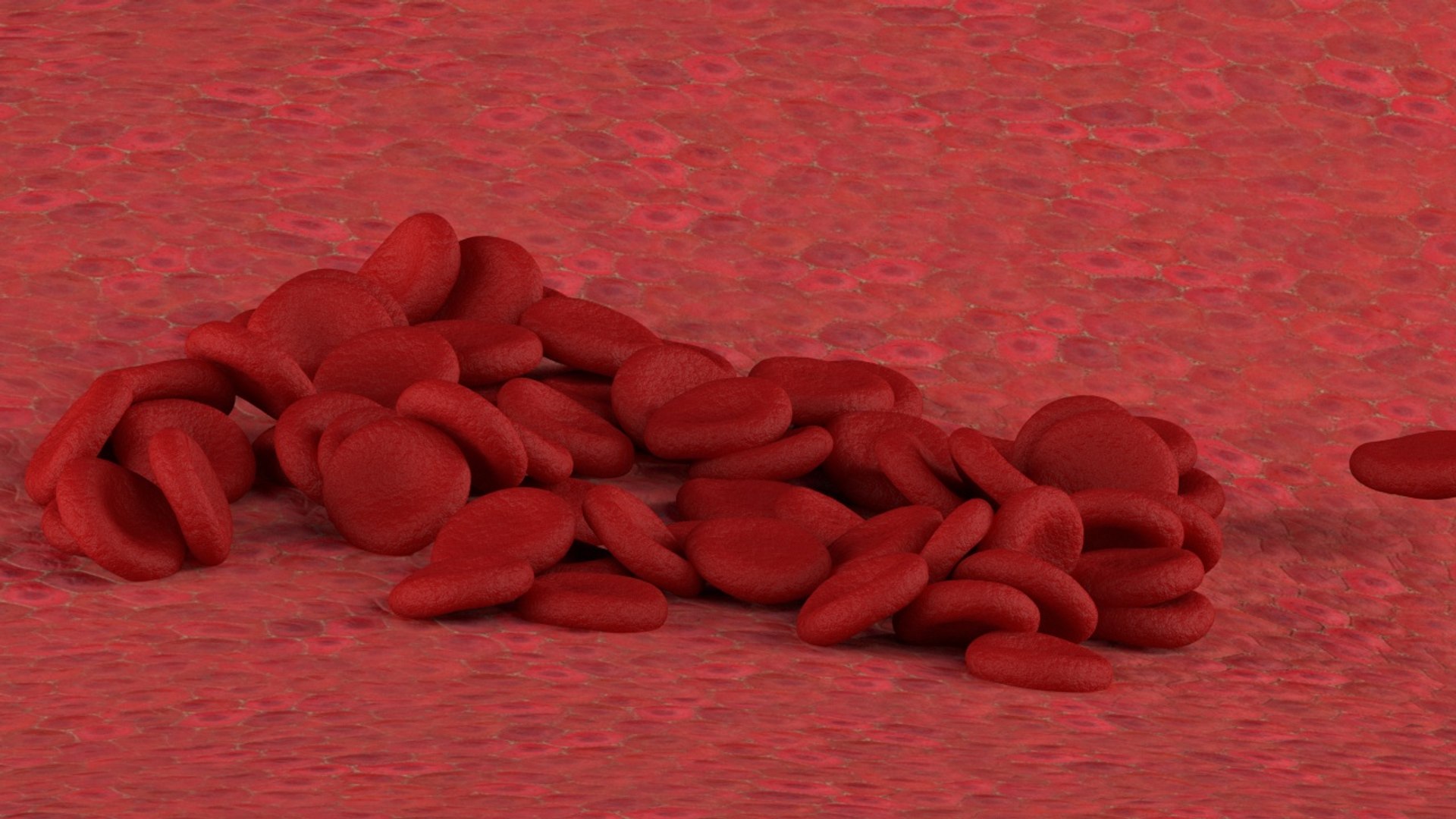 Red Blood Cells 3D Model - TurboSquid 1393000