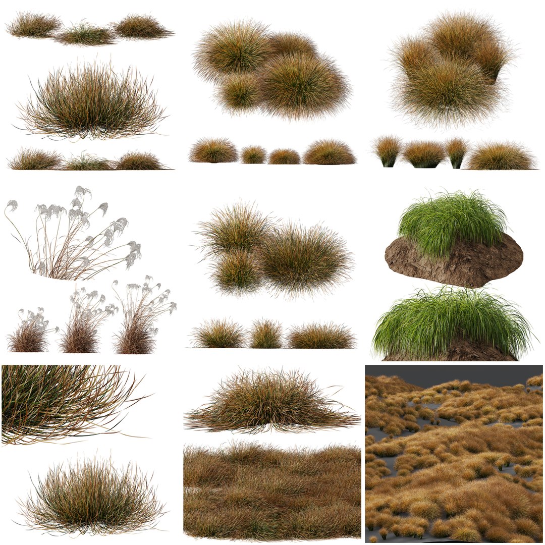 6 Different SETS Of Grass SET VOL02 Model - TurboSquid 2124602