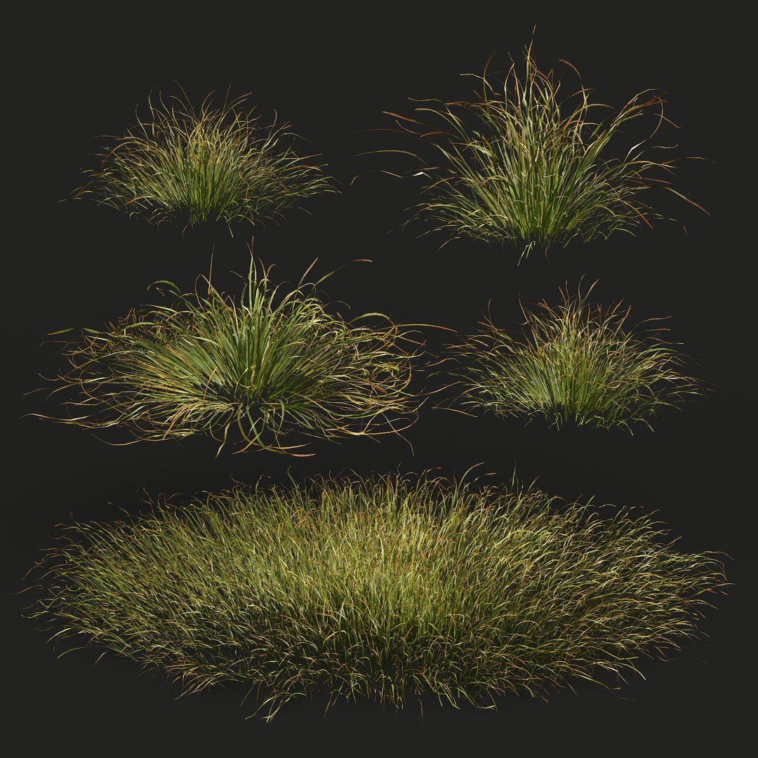 6 Different SETS Of Grass SET VOL02 Model - TurboSquid 2124602