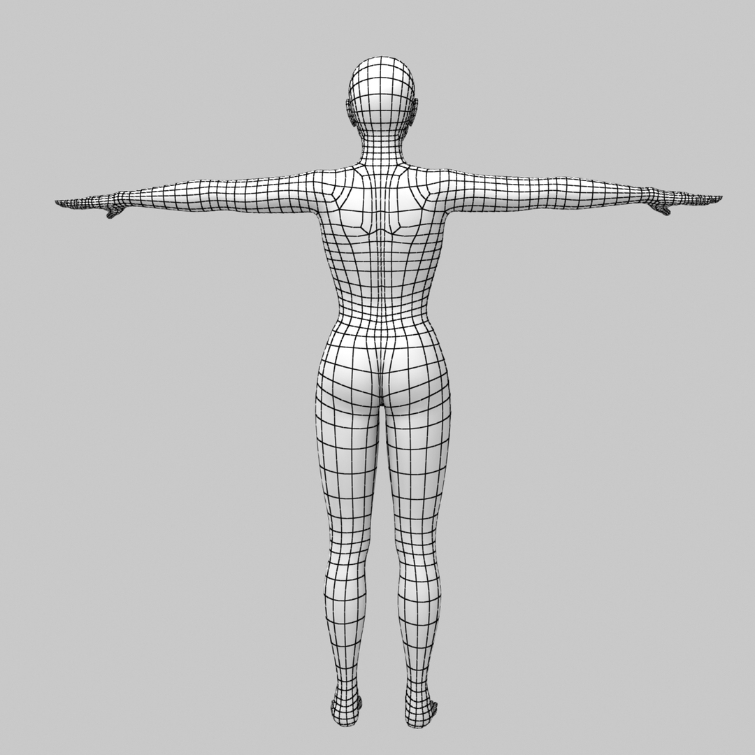 3d model of woman proportional human body
