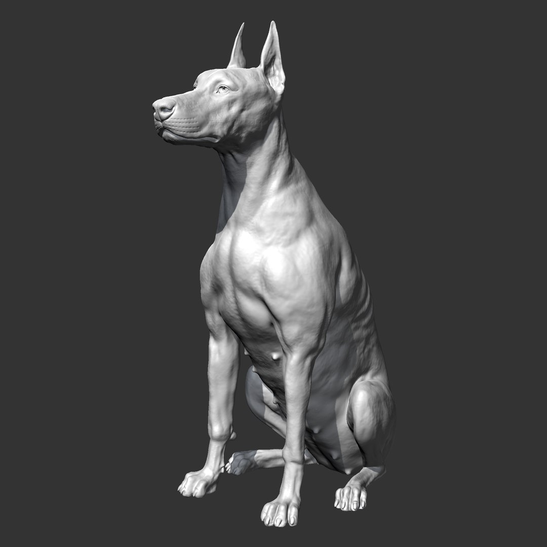 3D Doberman Sitting AM21 3D Print Model - TurboSquid 2103957
